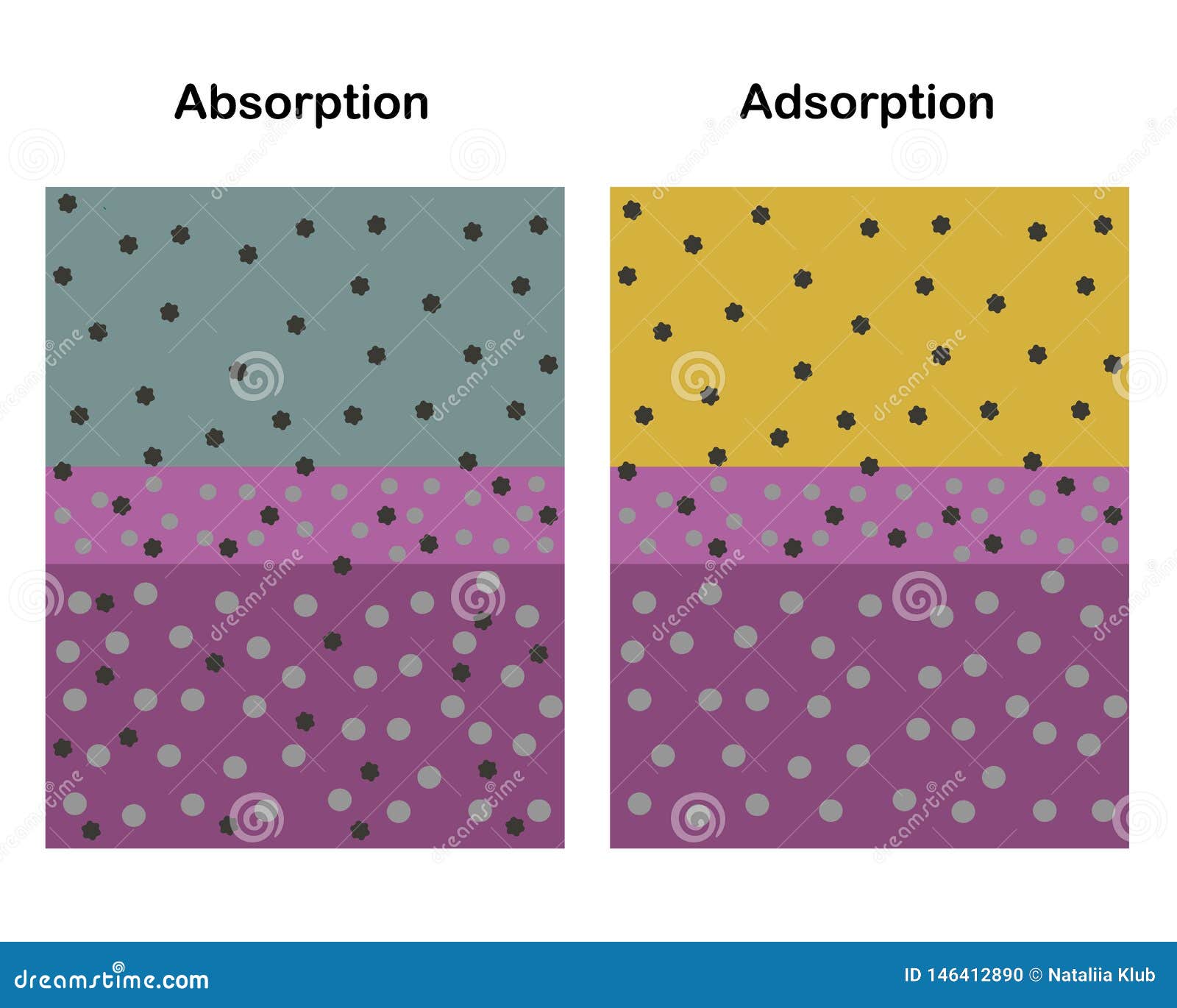 Adsorption and Absorption. stock vector. Illustration of school - 146412890
