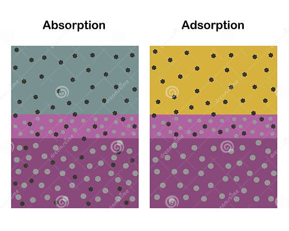 Adsorption and Absorption. stock vector. Illustration of school - 146412890