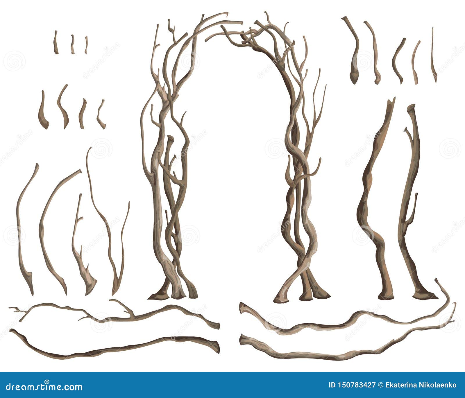 Rustic Arch with Tree Branches and Isolated Design Elements on White ...