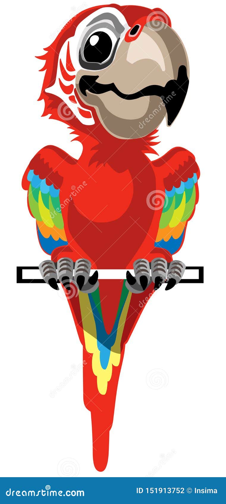 Cartoon Red Macaw Parrot Front View Stock Vector - Illustration of wild ...