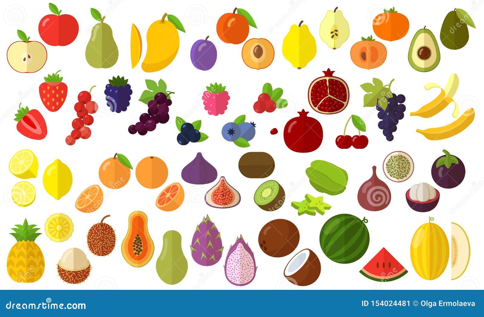 Bayberry Logo. Isolated Bayberry On White Background Vector ...