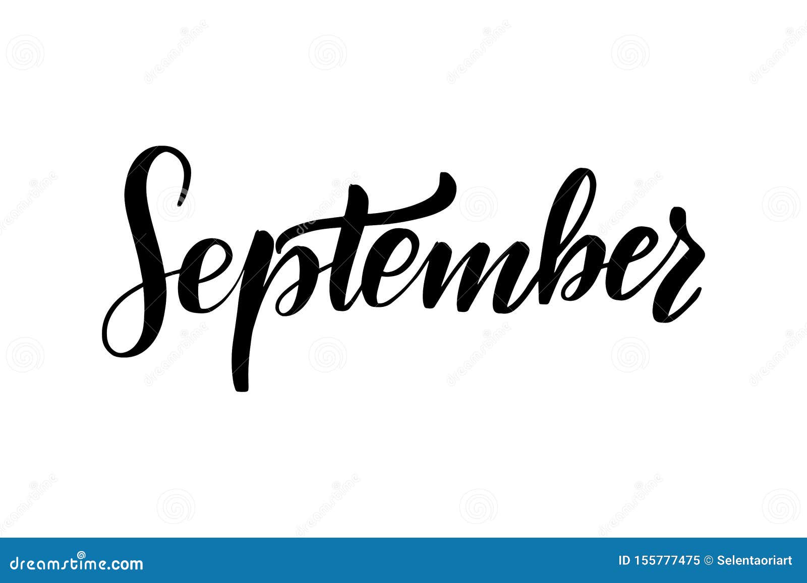 Brush lettering September stock vector. Illustration of graphic - 155777475