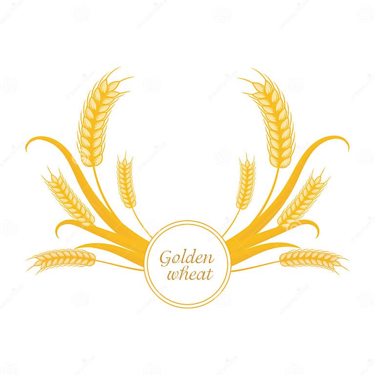 Golden Wheat Logo, Badge, Emblem Stock Vector - Illustration of ...