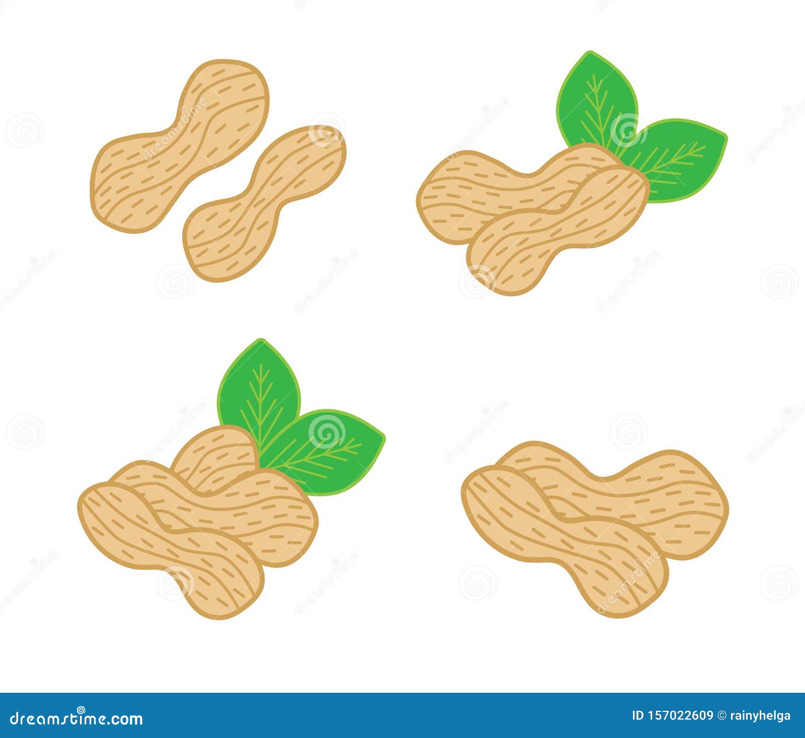 Peanuts In Nutshell And Leaves Cartoon Vector | CartoonDealer.com #22439445