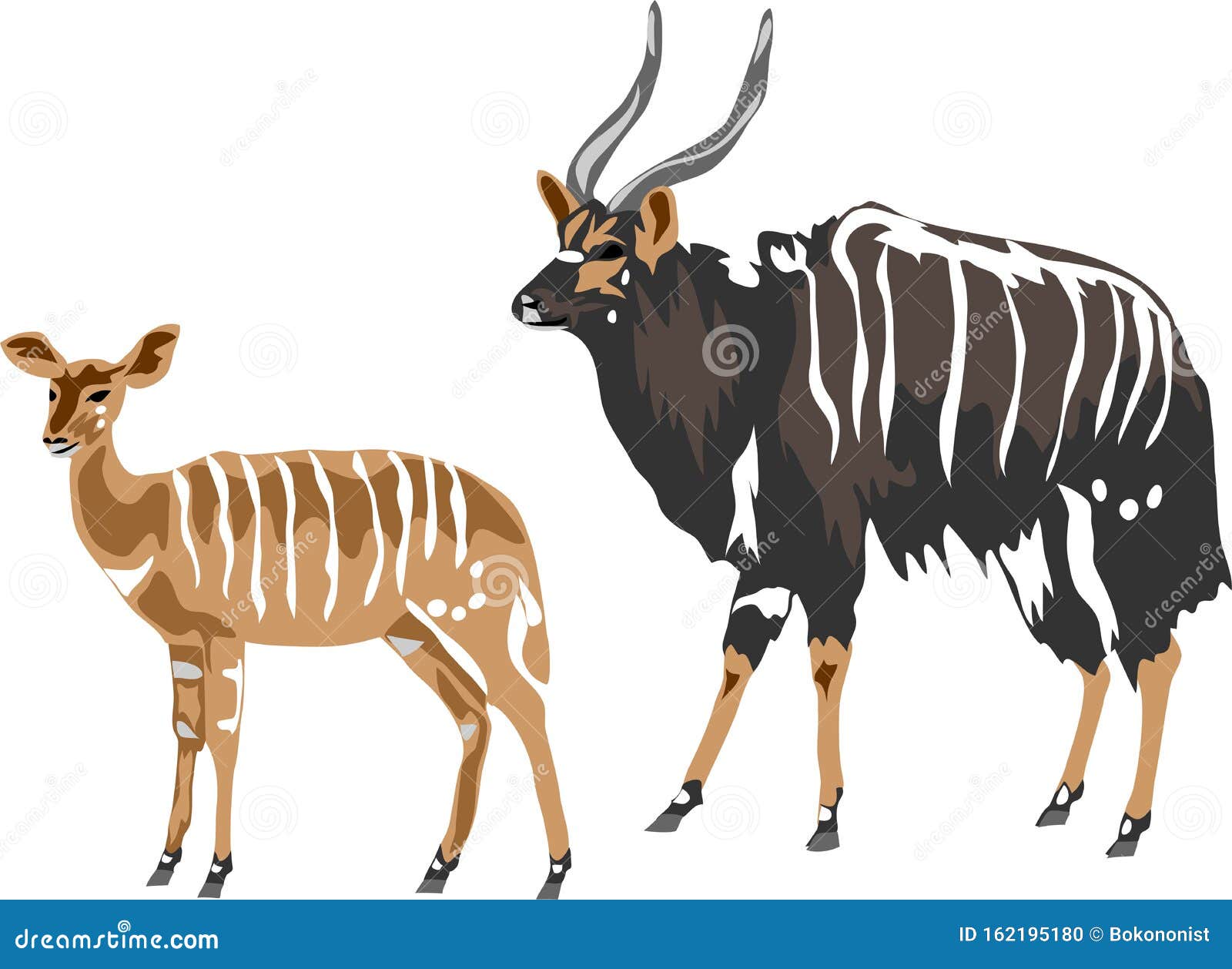 Nyala vector illustration stock vector. Illustration of nyala - 162195180
