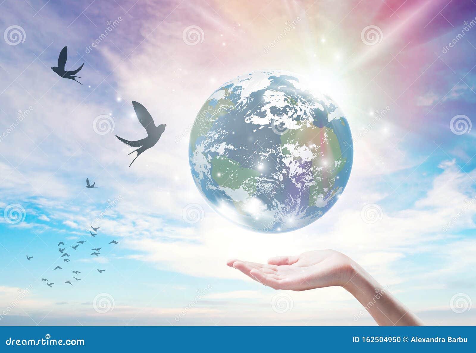 Creation Earth, Freedom, Clean Environment, Ecology, Connection, Health ...