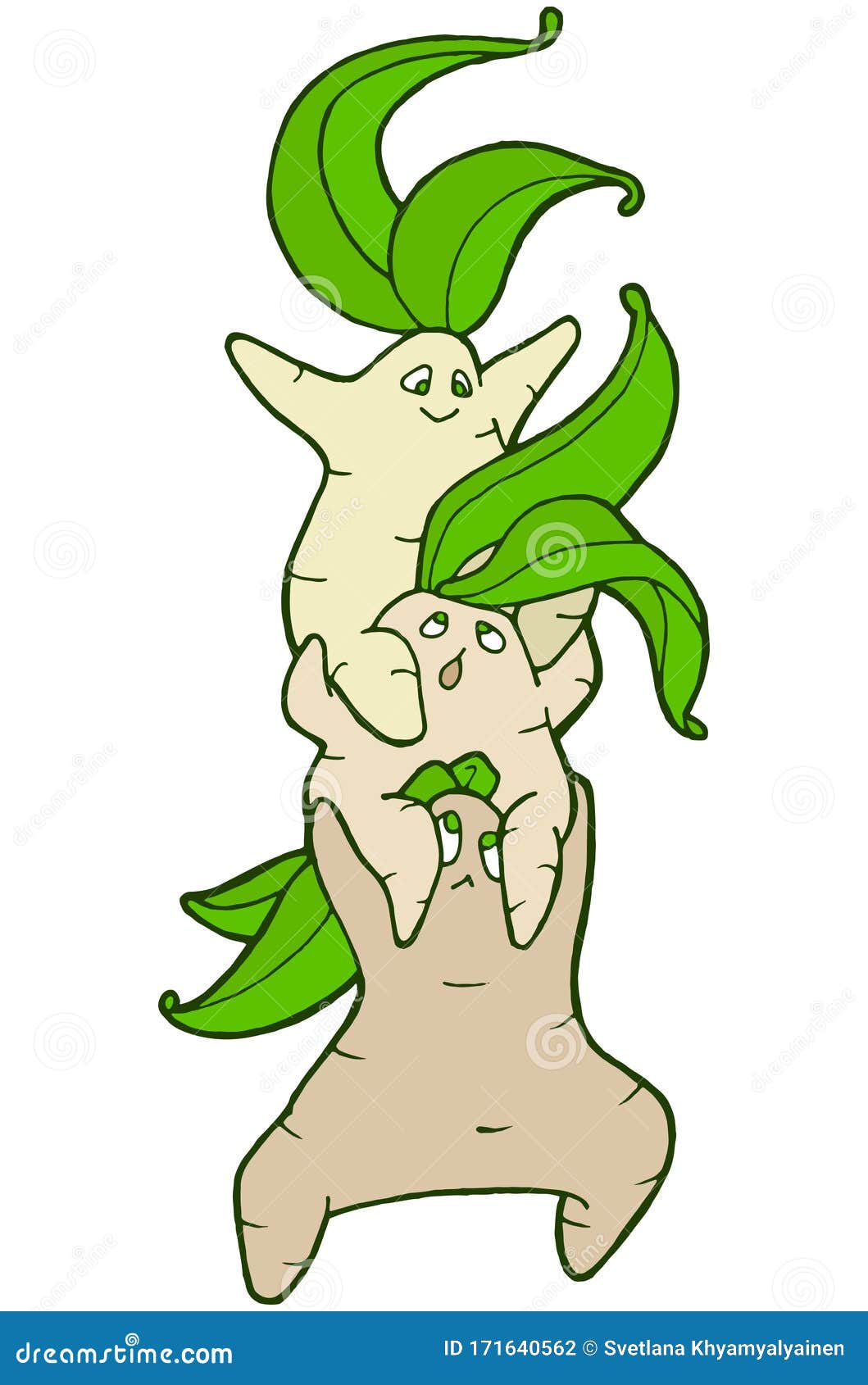 Illustration of Mandrake Isolated on White. Stock Illustration ...