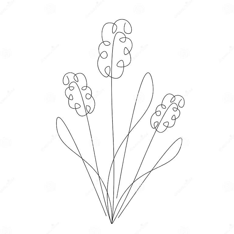 Spring First Flowers Continuous Line Drawing. Vector Stock Vector ...