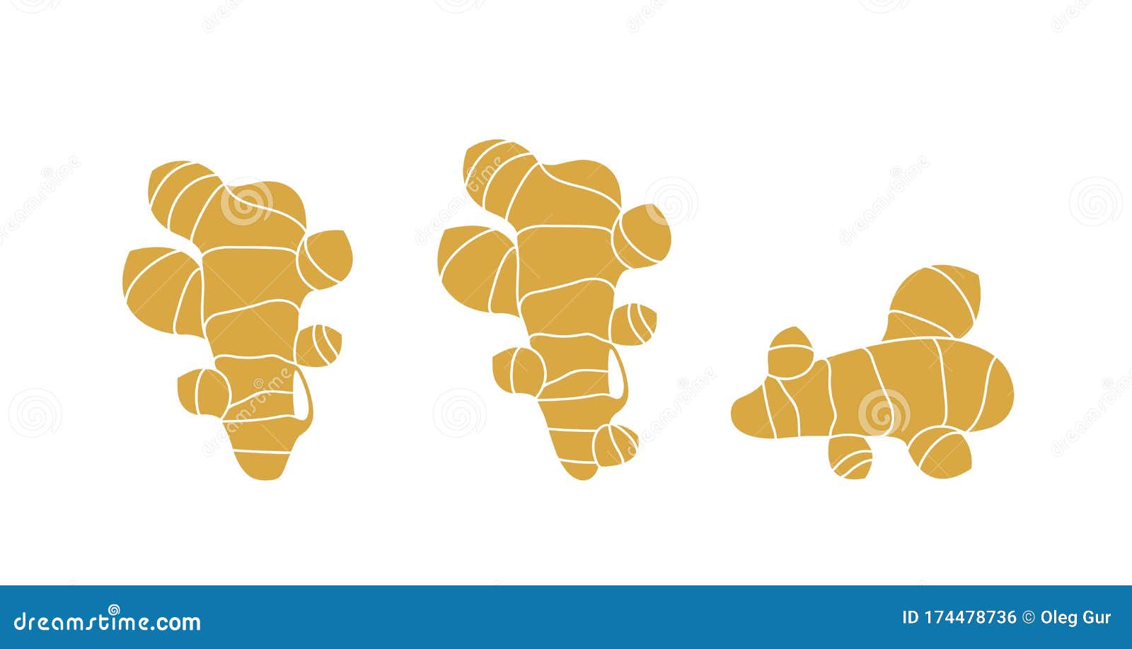 Ginger Logo. Isolated Ginger on White Background Stock Vector ...