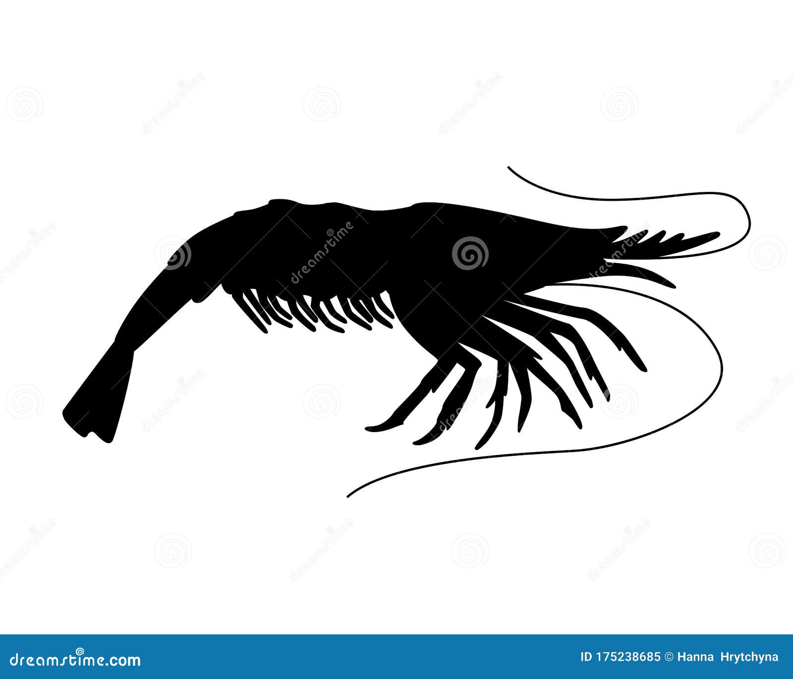 Shrimp, Crustacean, Caridea Continuous Line Drawing. One Line Art Of ...