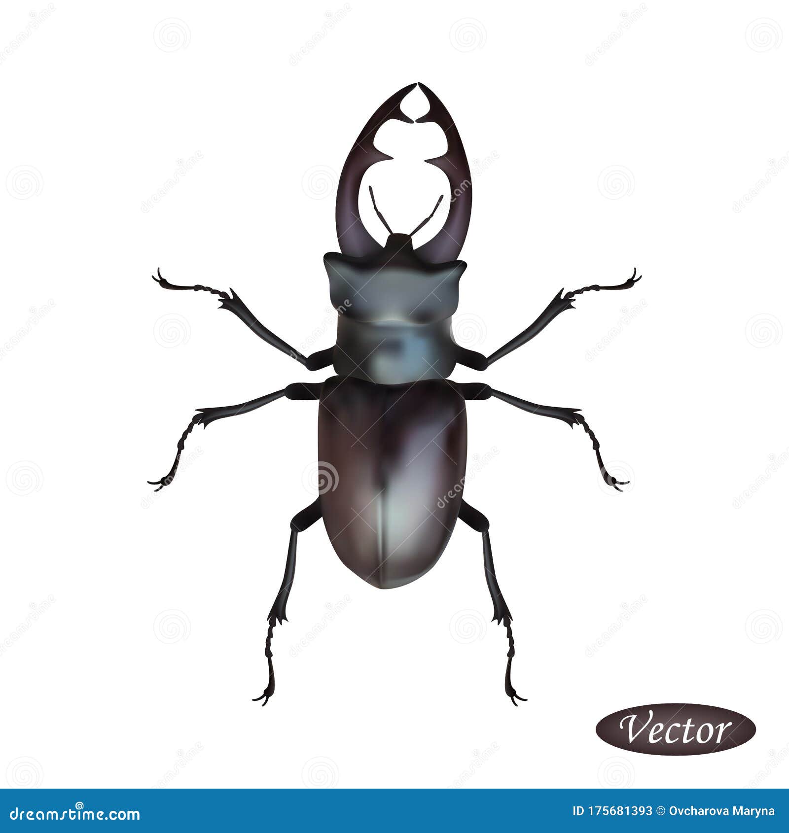 Realistic 3d Beetle Model In Black And Gold Royalty-Free Illustration ...