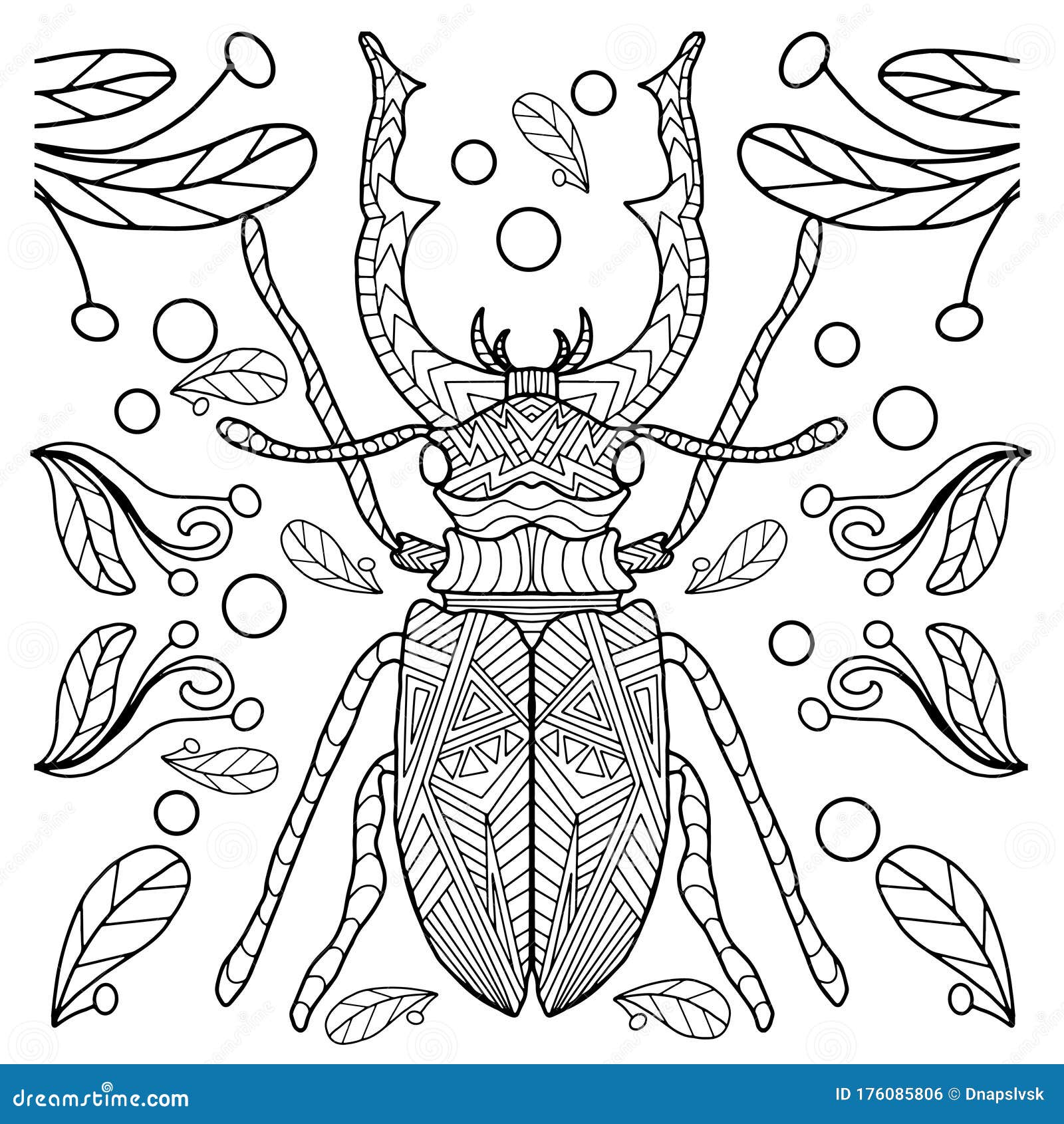Hand Drawn Insect with Leaves and Circles on a White Background, for ...