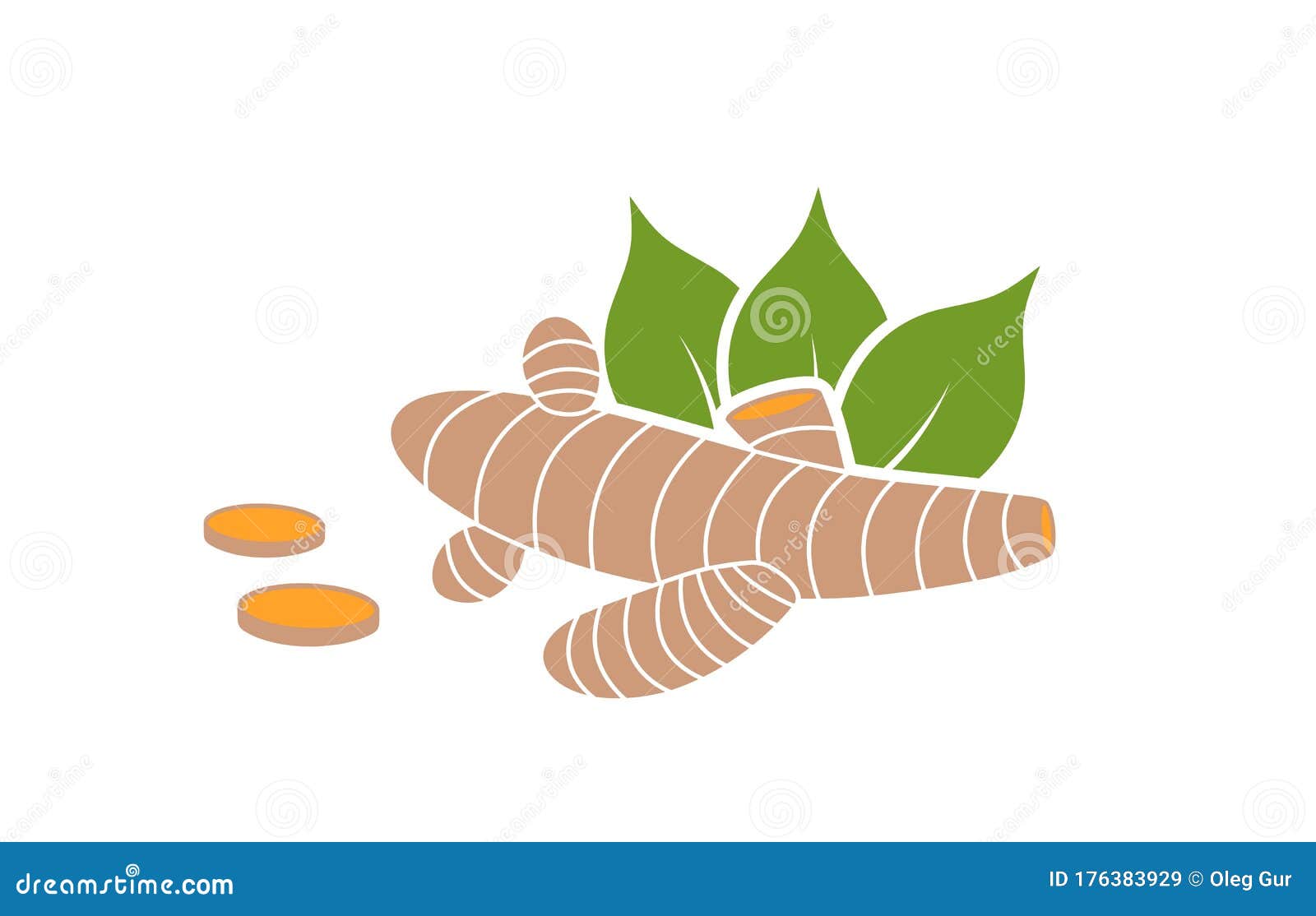 Turmeric Logo. Isolated Turmeric on White Background Stock Vector ...