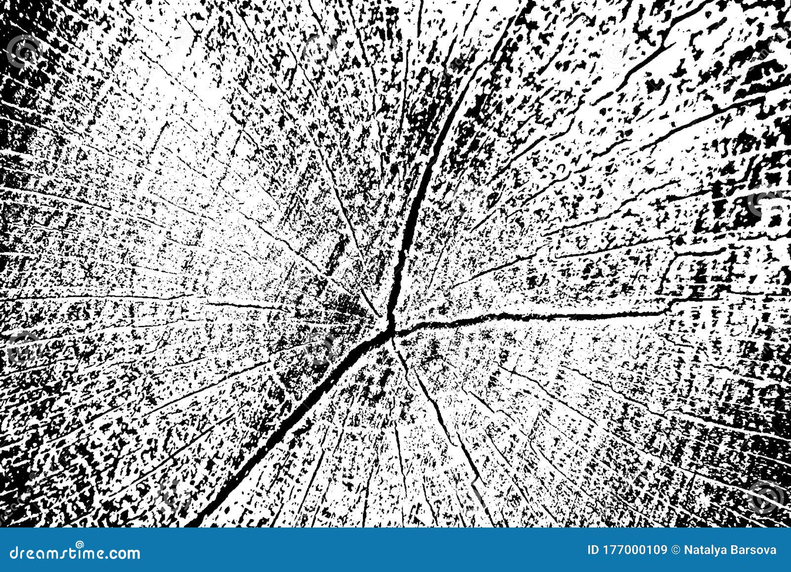 Monochrome Background of Dry Wood Cut. Stock Vector - Illustration of ...