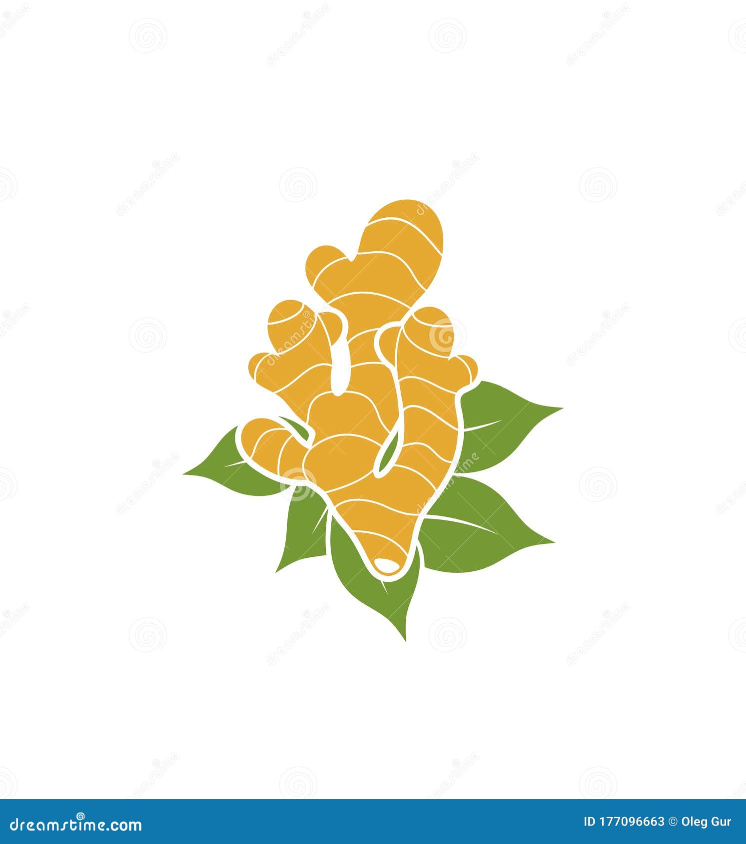 Ginger Logo. Isolated Ginger on White Background Stock Vector ...