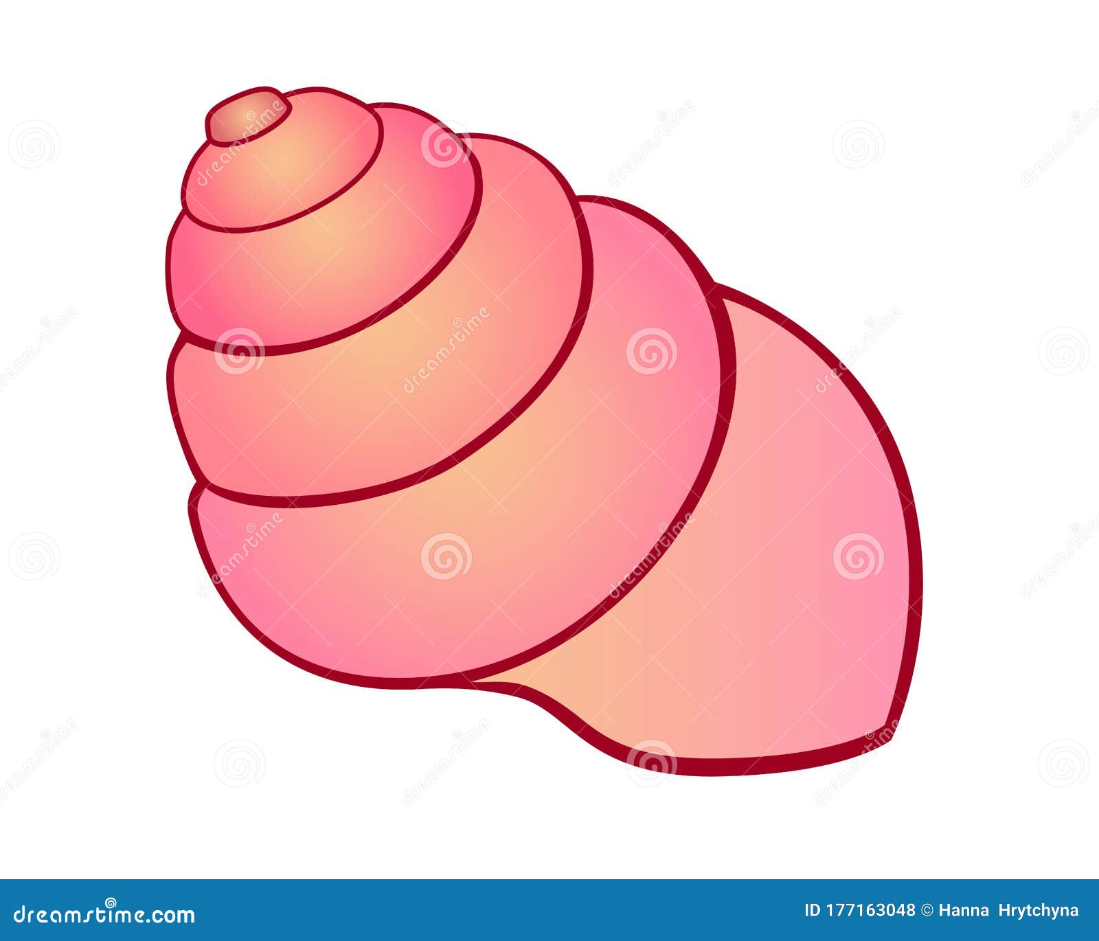 A Swirling Conical Pink Shell - Vector Full Color Picture. Sea Life is ...