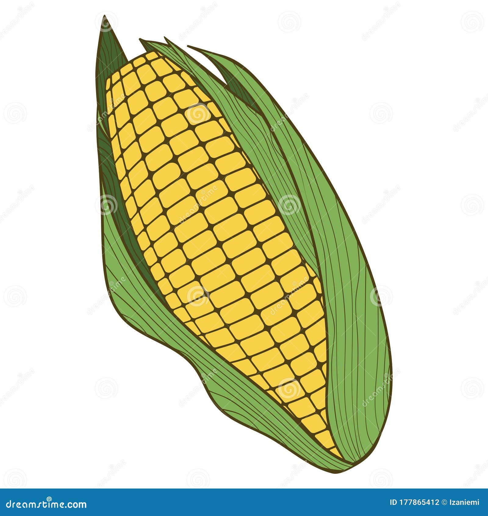 Corn Cob with Geometric Pattern - Vector Illustration Stock Vector ...