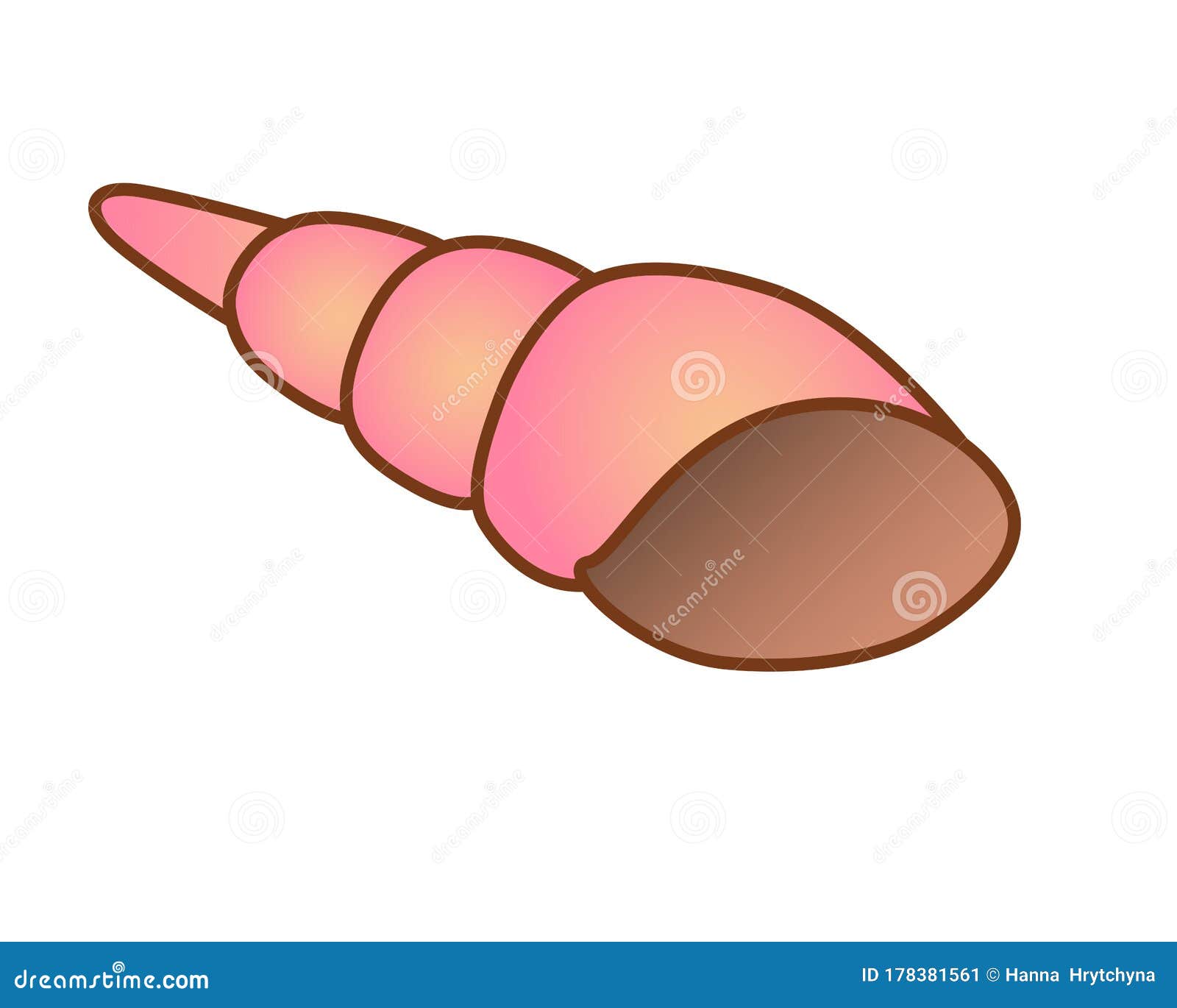 Shell. Long Thin Spiral Pink Shell - Vector Full Color Picture. Mollusk ...