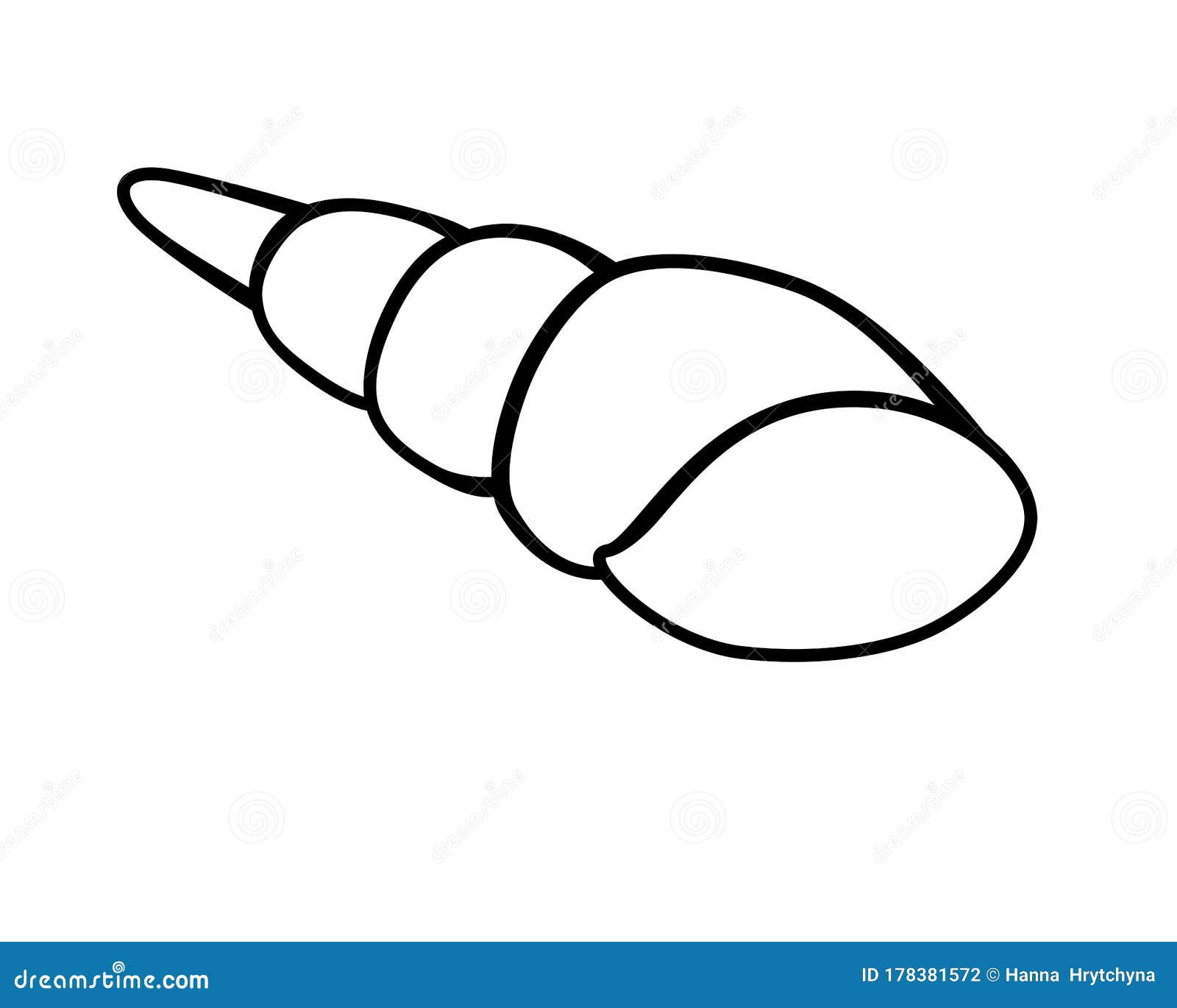 Shell. Long Thin Spiral Shell - Vector Linear Picture for Coloring ...