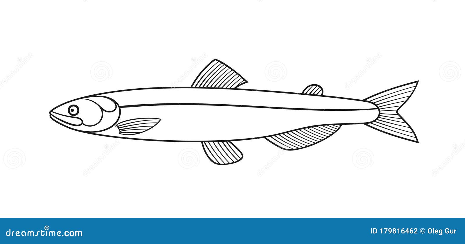 Capelin Outline. Isolated Capelin on White Background Stock Vector ...