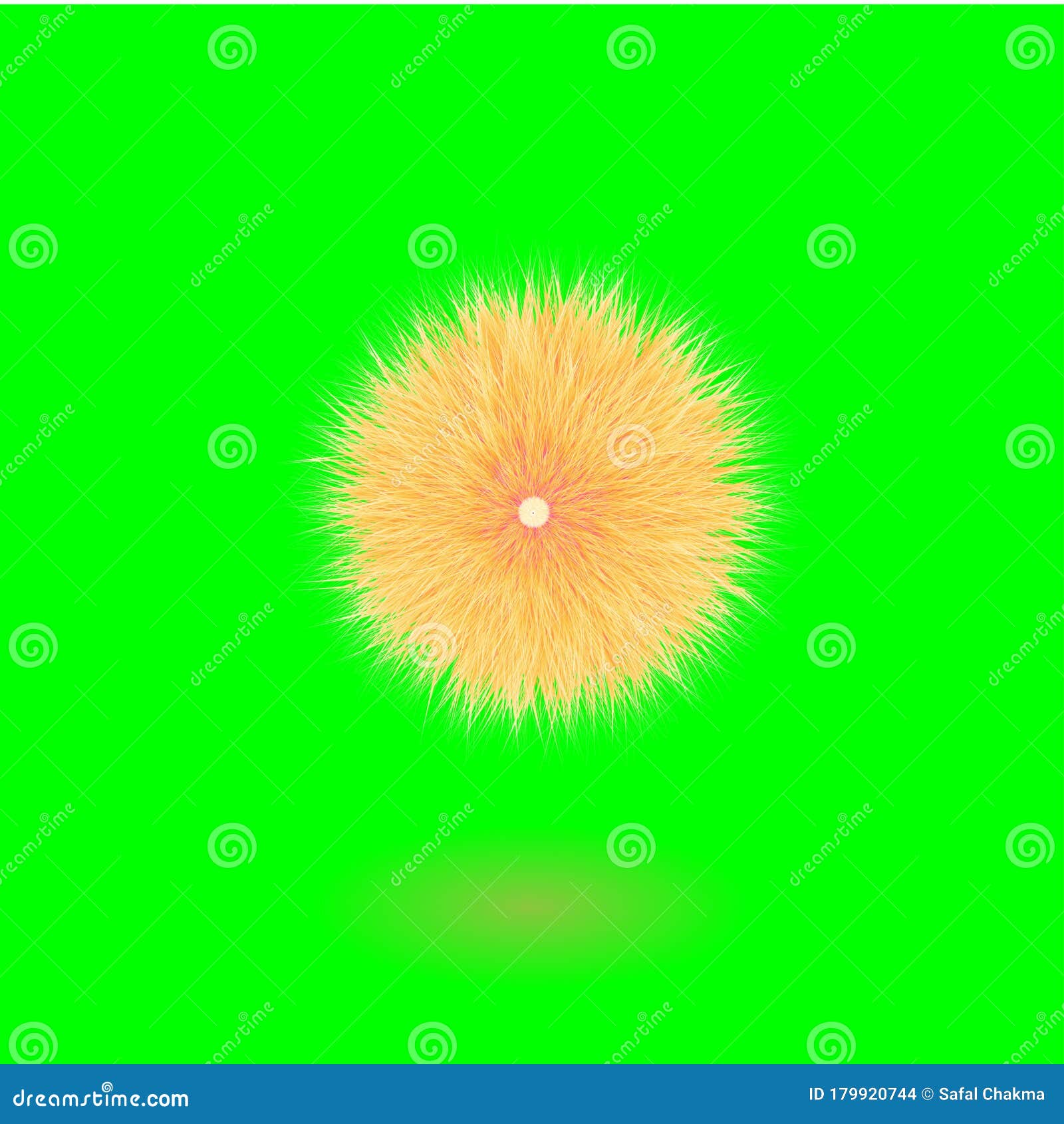 Asian Amazing Natural Kadam Flower Illustration. Stock Vector ...