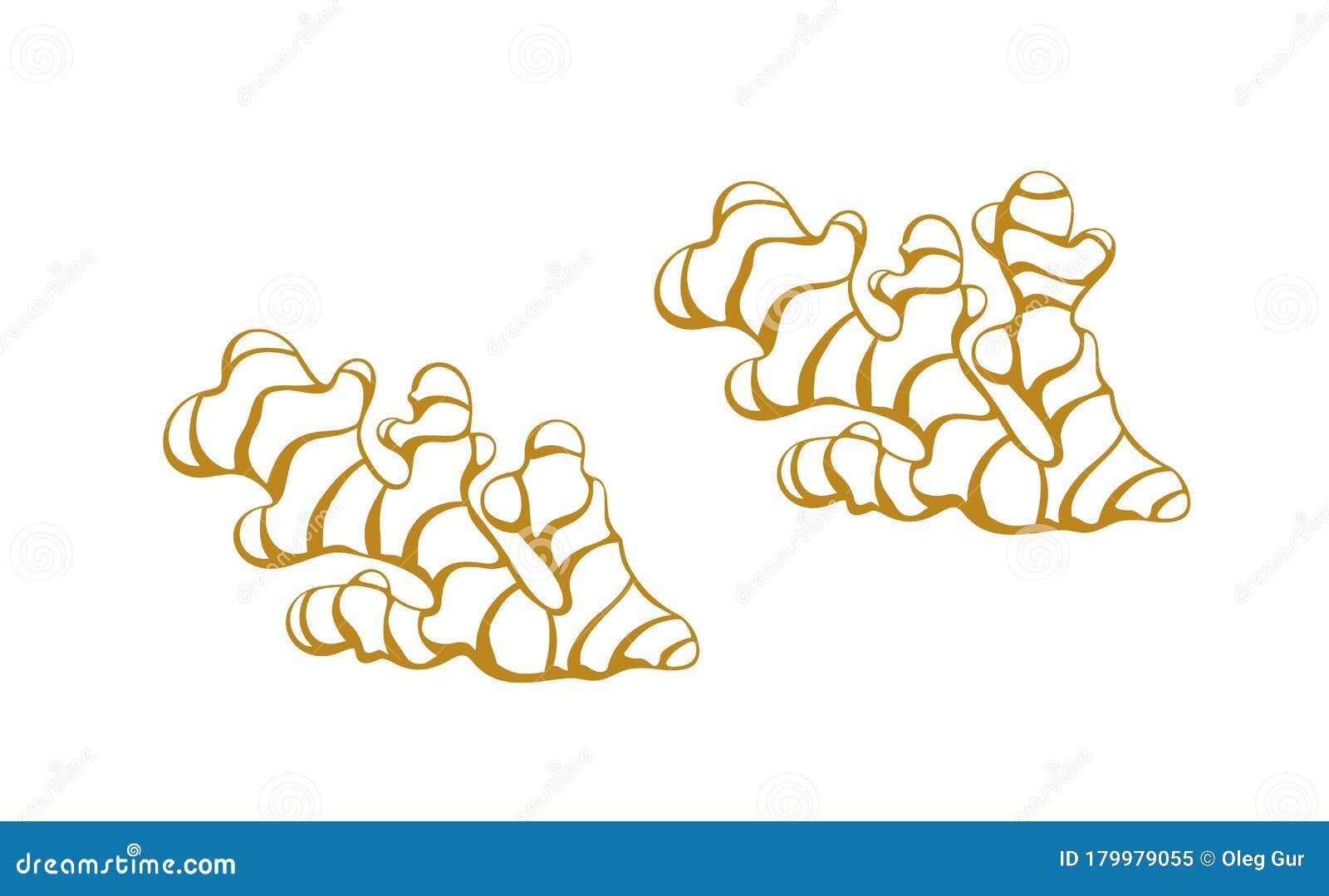 Ginger Outline Stock Illustrations – 4,079 Ginger Outline Stock ...