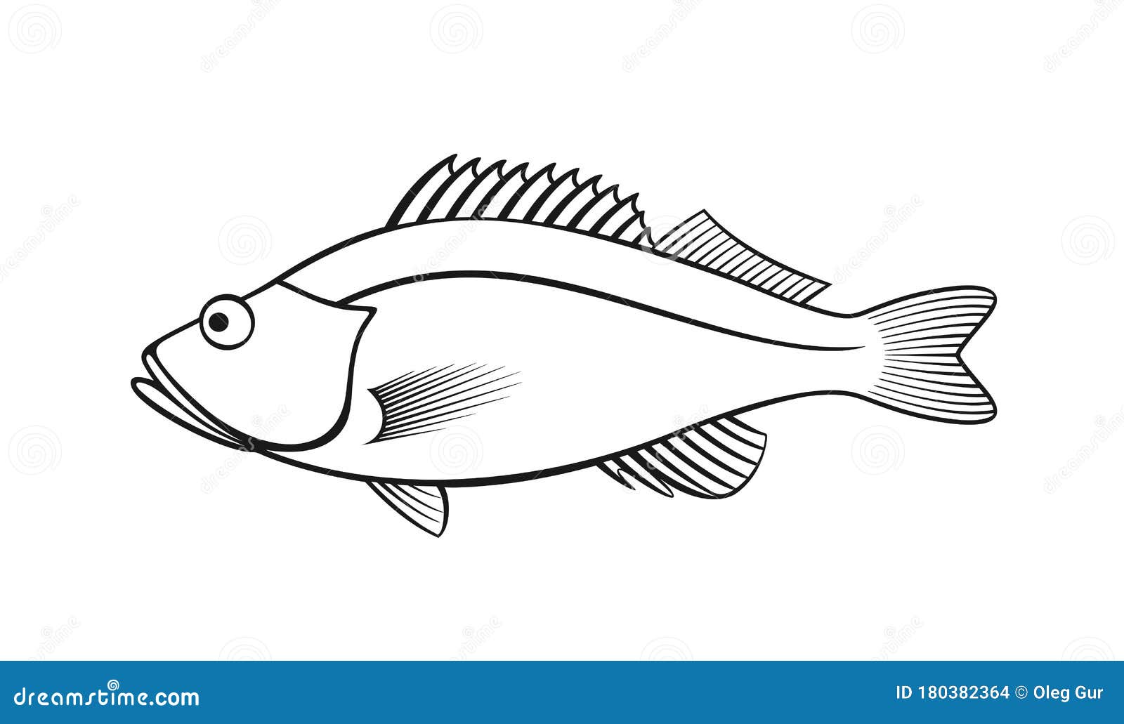 Ocean Perch Outline. Isolated Ocean Perch On White Background Vector ...