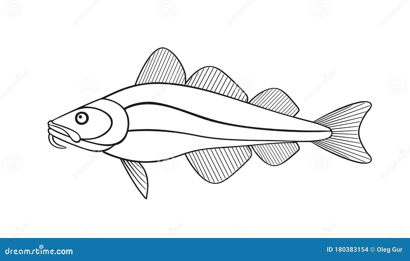 Atlantic Cod Outline. Isolated Cod on White Background Stock Vector ...