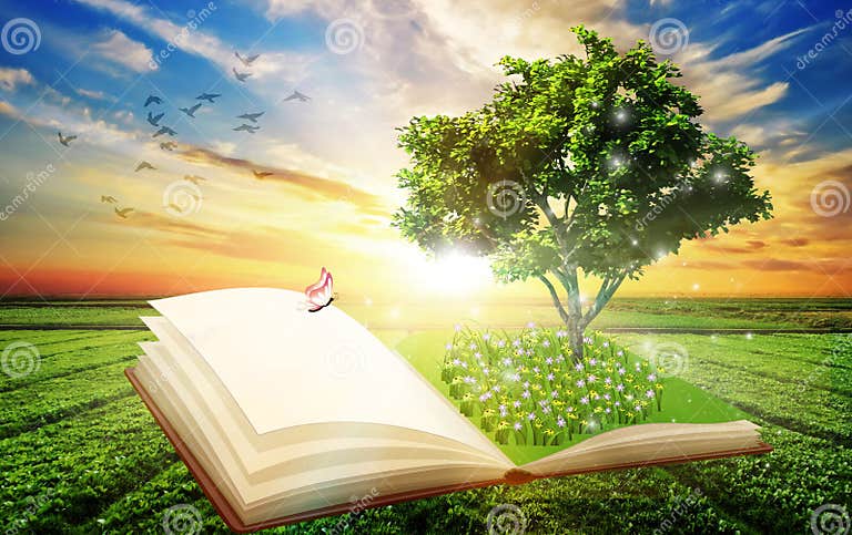 Dream World To Reality, Clean Environment Education, Ecology ...