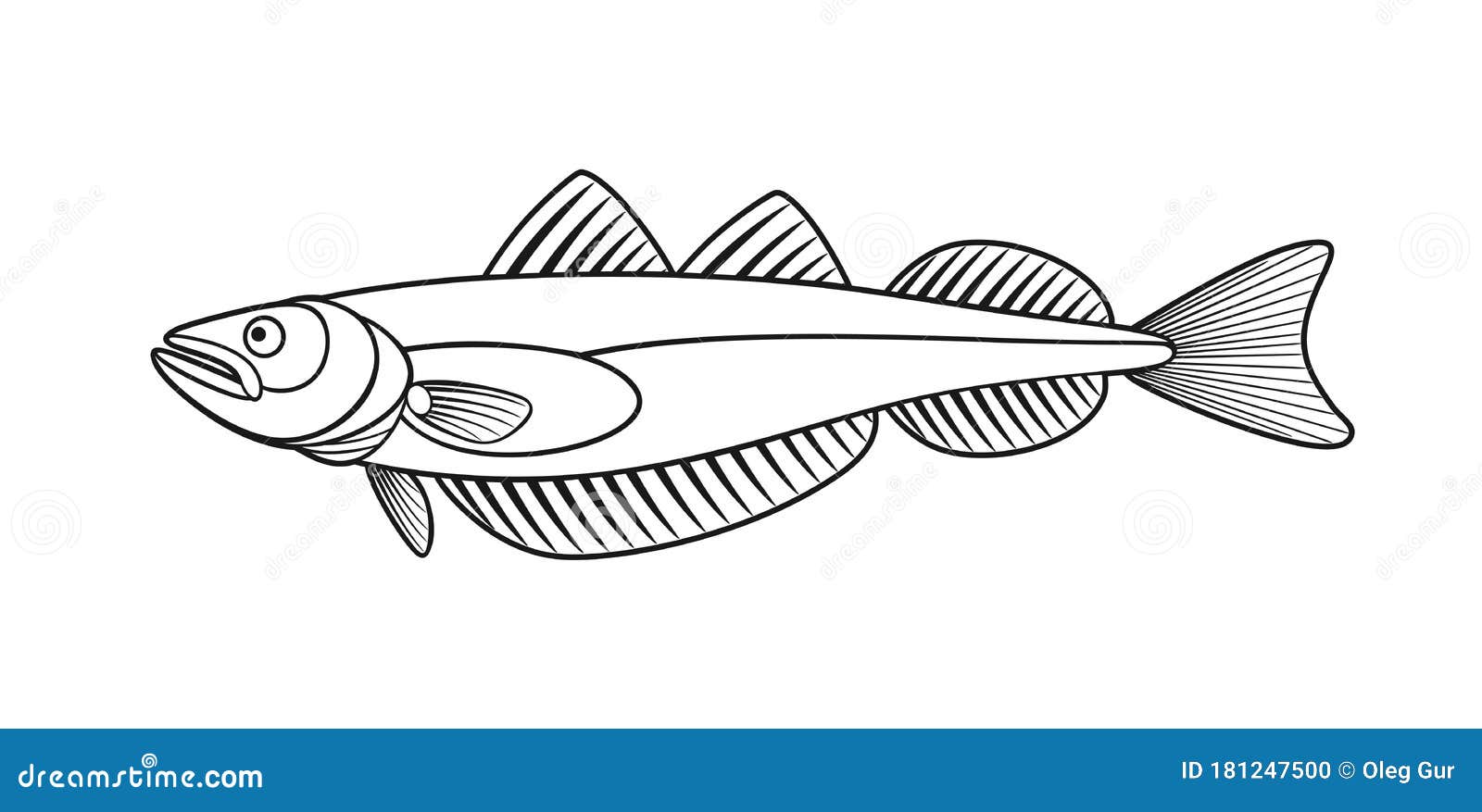 Whiting outline. Fish stock vector. Illustration of sign - 181247500