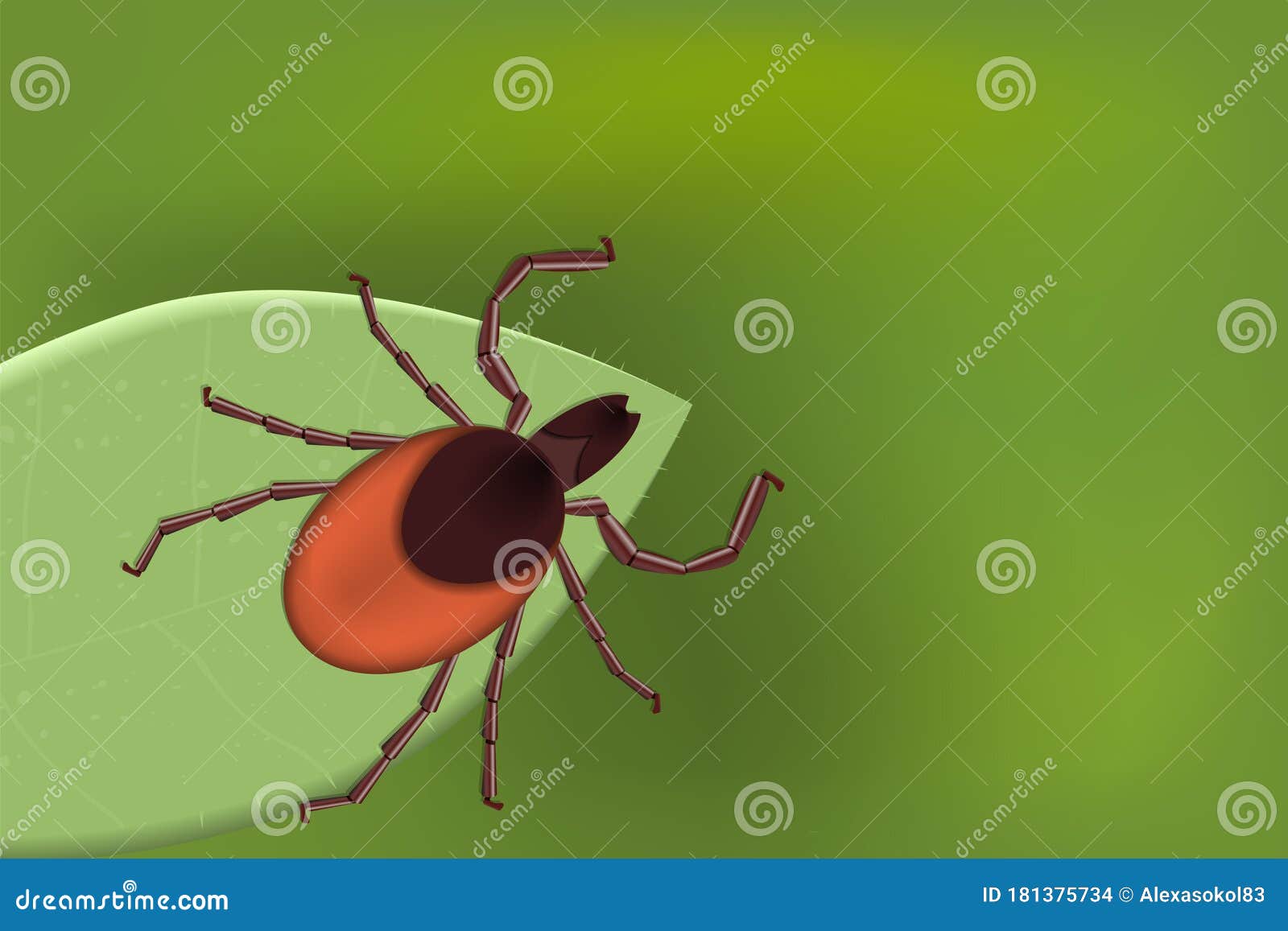 Mite Bugs Vector Illustration on Green Background. Stock Vector ...