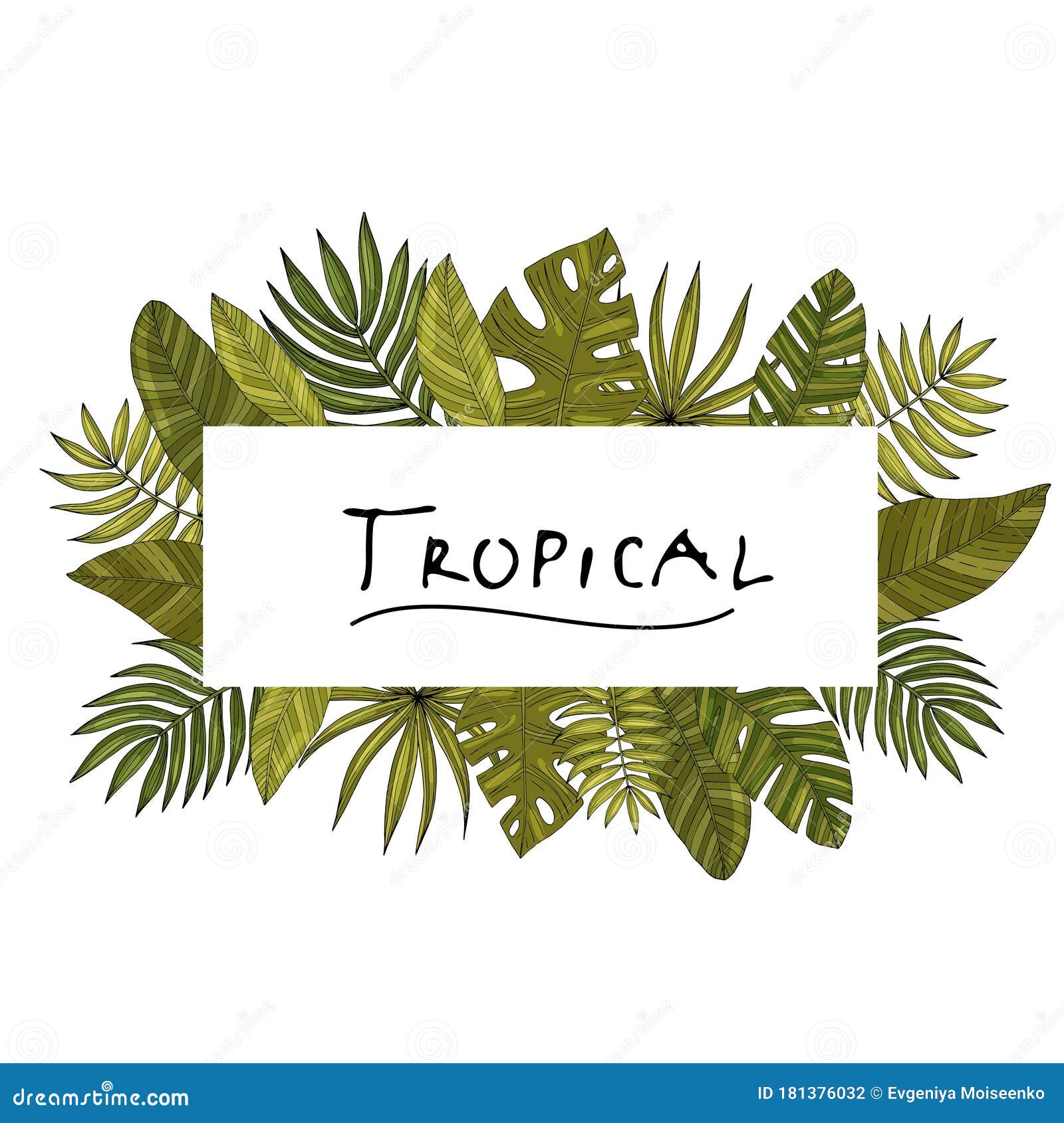 Ornament, Rectangular Frame Border, Hand Drawn Tropical or Forest ...