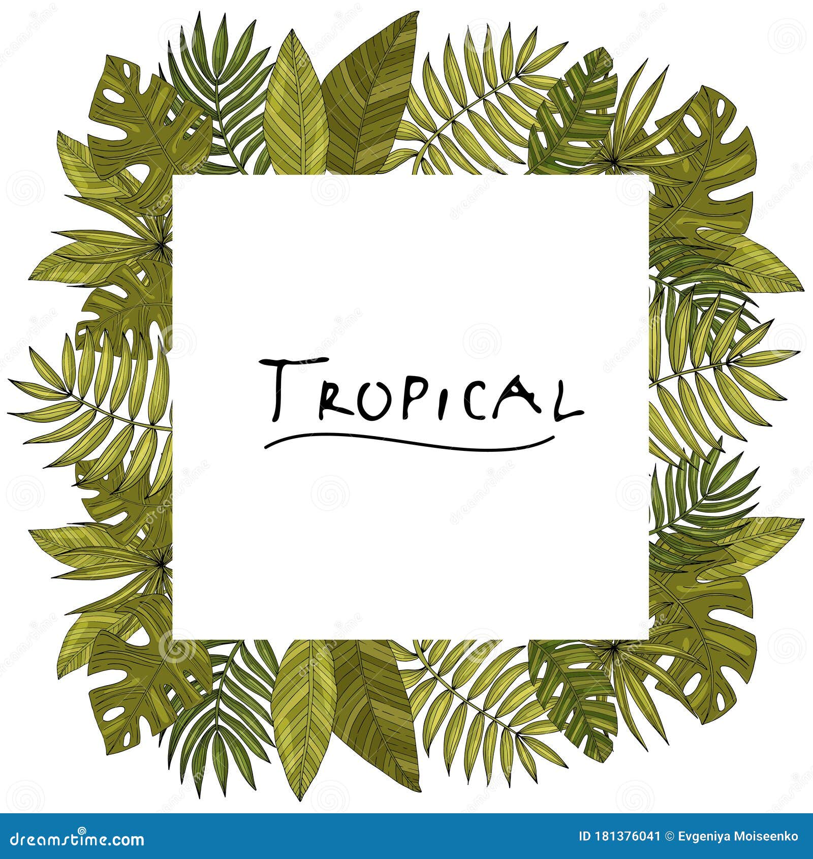 Ornament, Square Frame Border, Hand Drawn Tropical or Forest Leaves ...