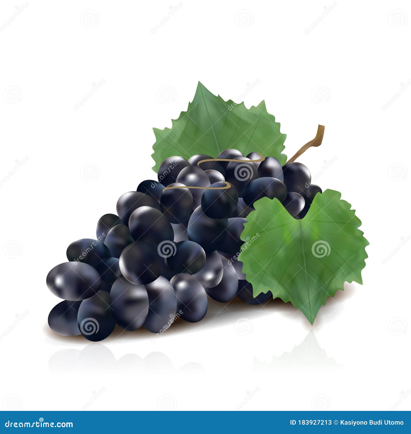 Wine Grapes Realistic Bunch Vector Icon Set. Stock Vector ...