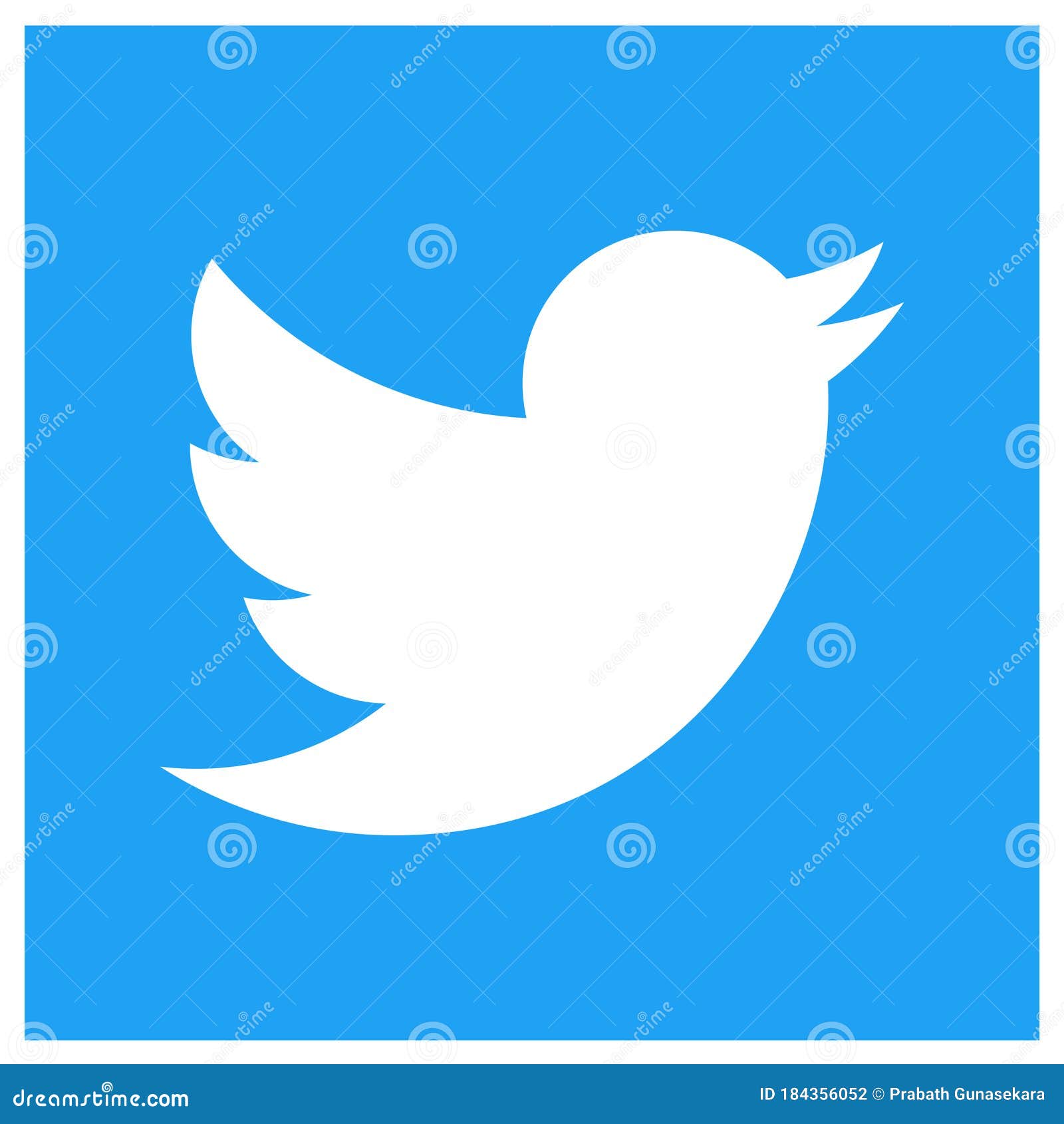 Squared Logo Vector Png | CartoonDealer.com #227338846