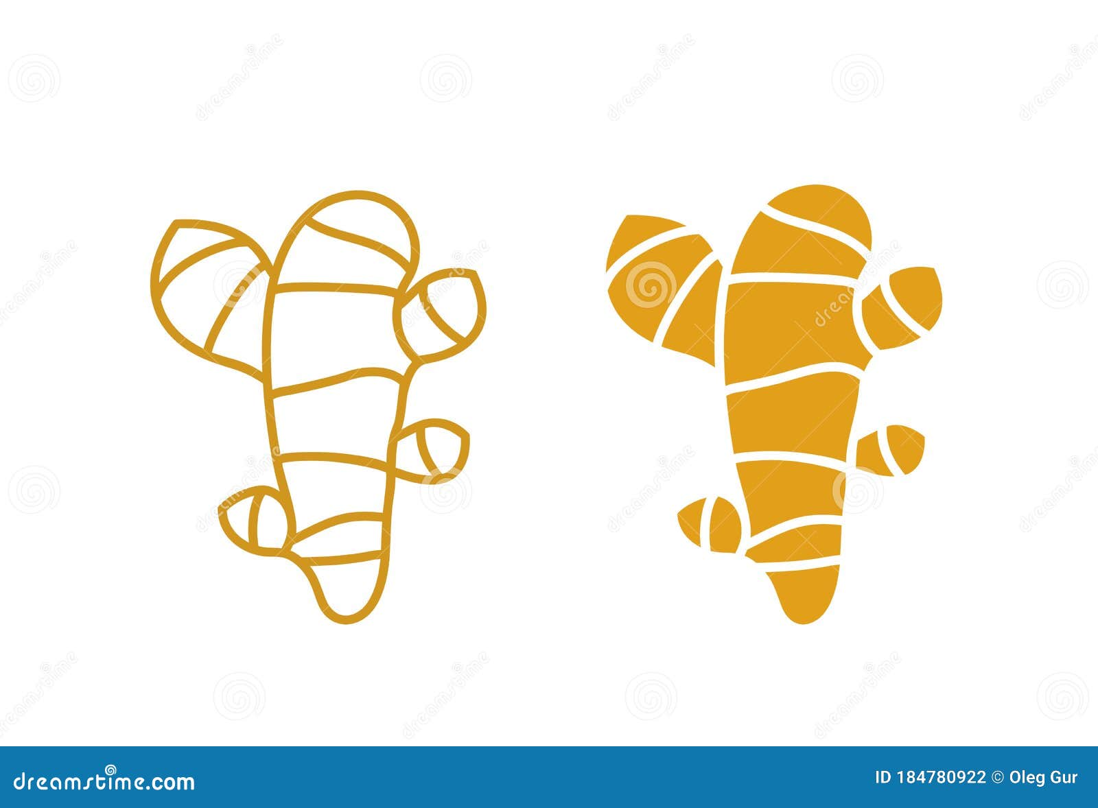 Ginger Outline. Isolated Ginger on White Background Stock Vector ...