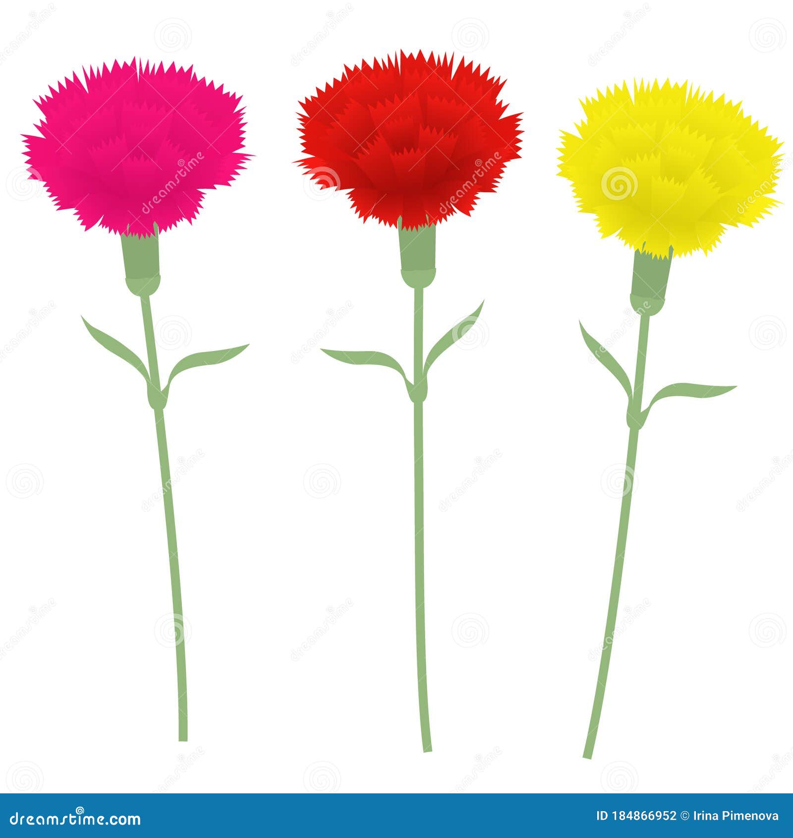Three Carnations. Isolated Vector Image on a White Background. Stock ...
