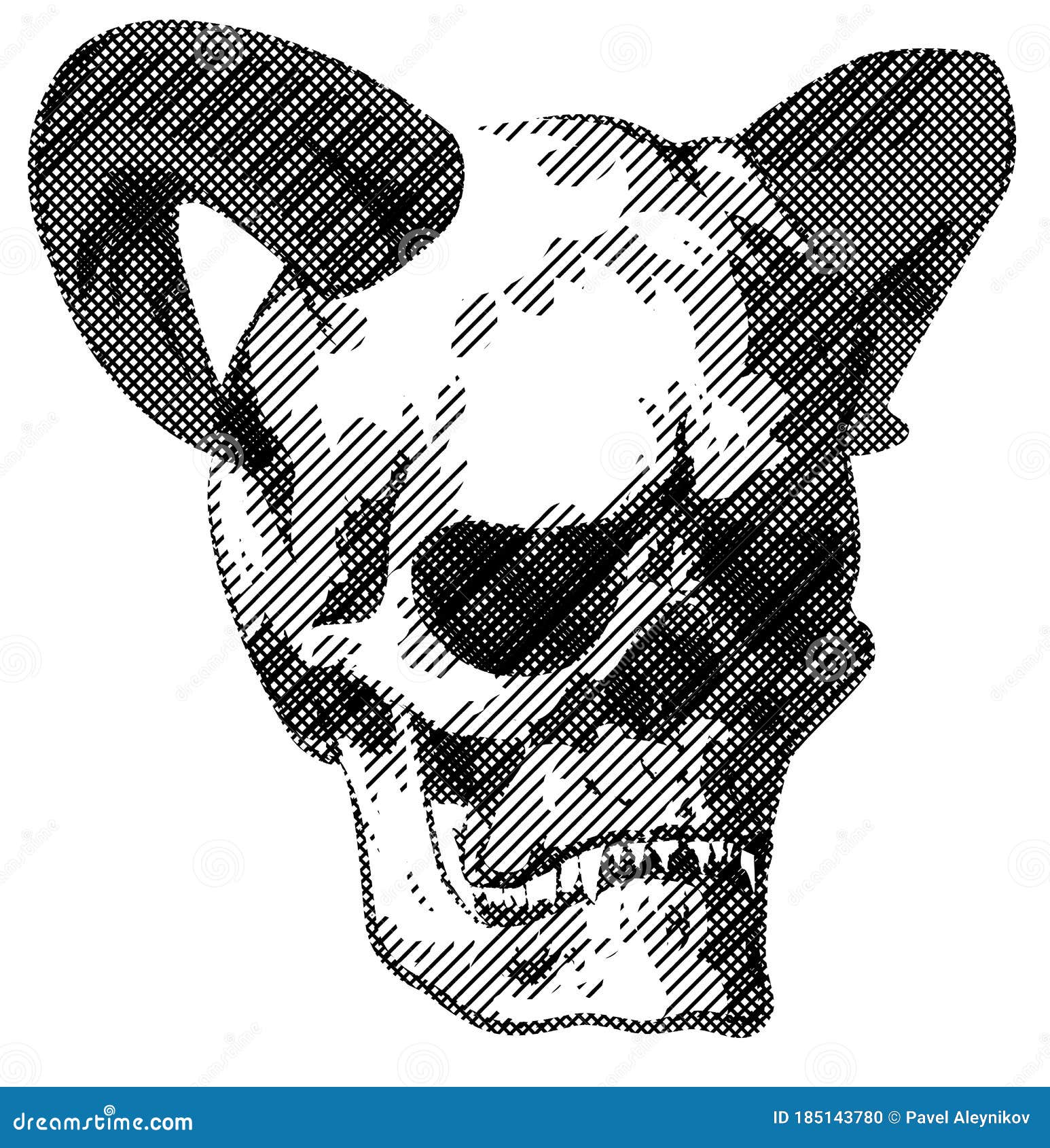 Demon Horns Goatee Head Drawing Vector Illustration | CartoonDealer.com ...