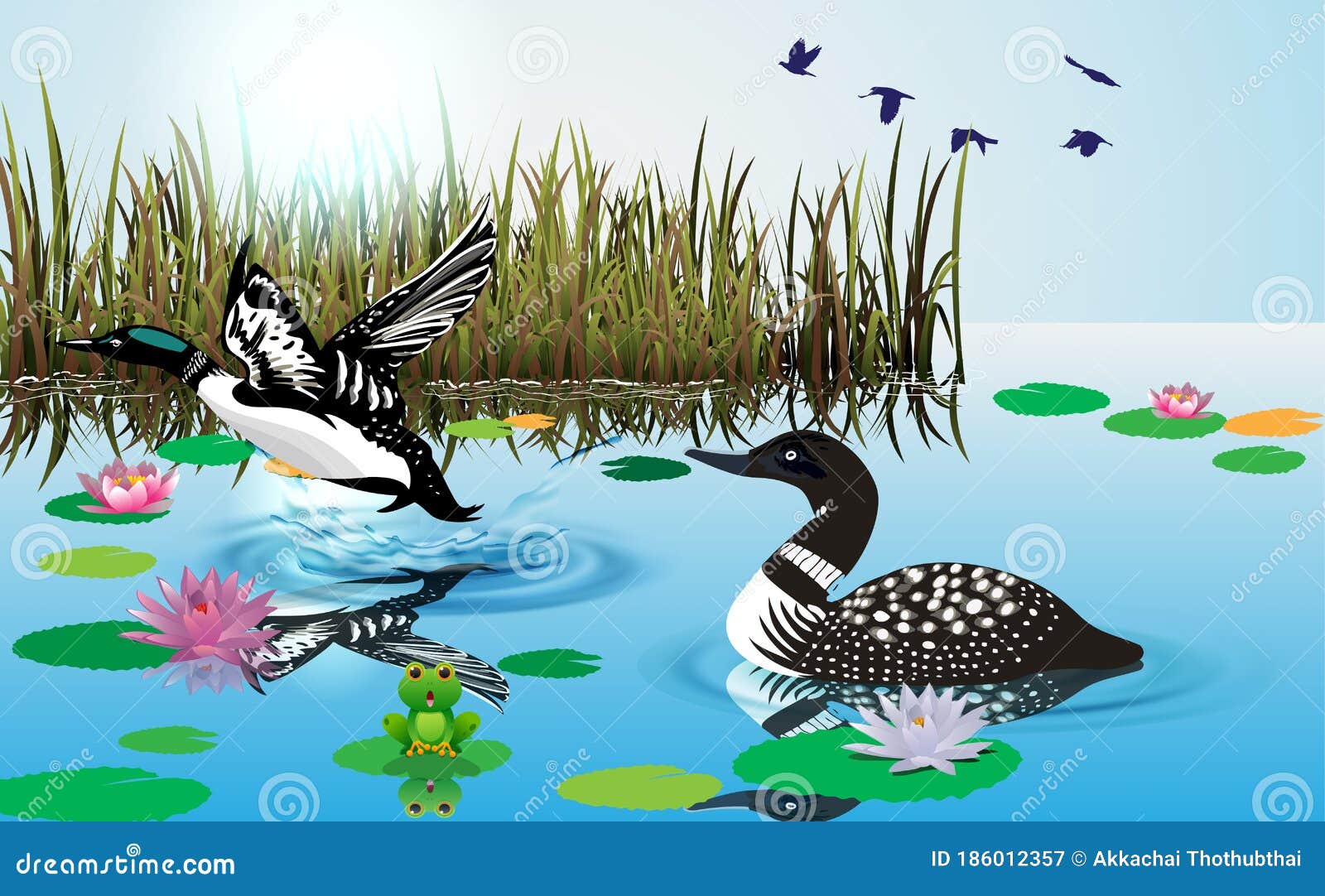 Loons Cartoons, Illustrations & Vector Stock Images - 92 Pictures to ...