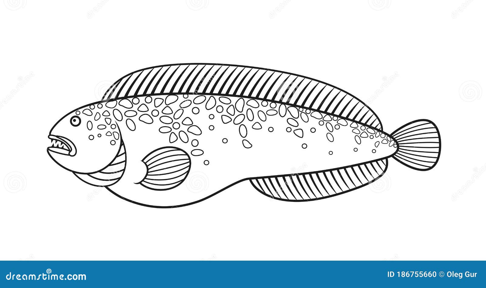 Wolffish Stock Photo | CartoonDealer.com #45630060