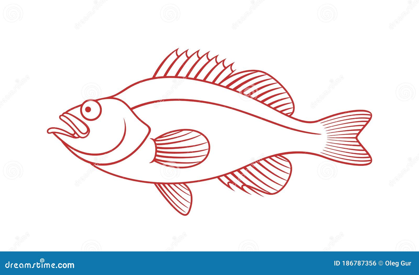 Ocean Perch Outline. Isolated Ocean Perch On White Background Vector ...