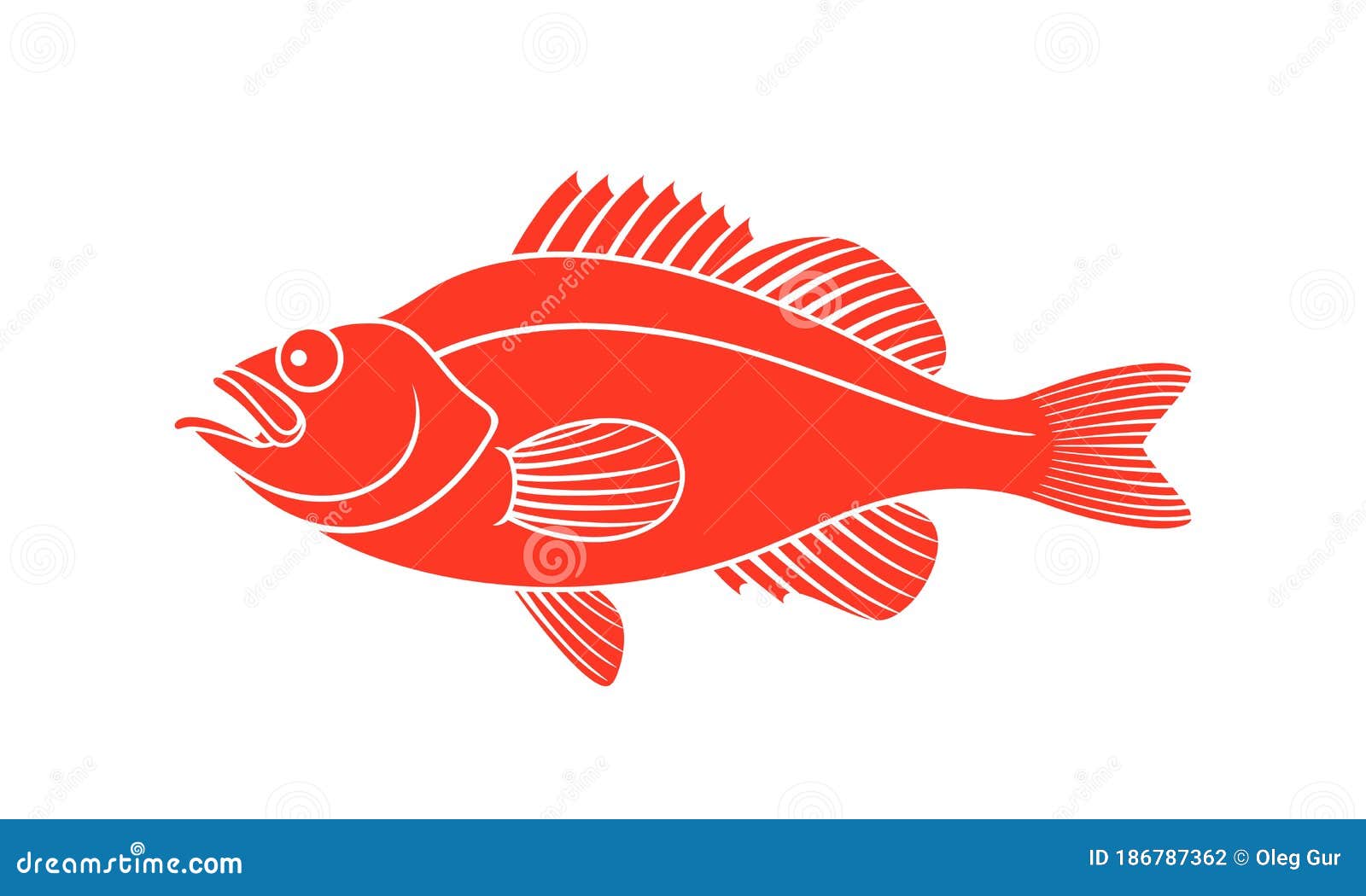 Ocean Perch Outline. Isolated Ocean Perch On White Background Vector ...