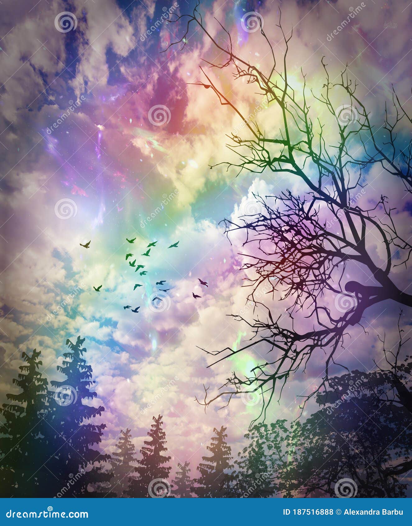 Rainbow Dreams Cards Bright Colorful Sky With Panda, Unicorn Weather ...