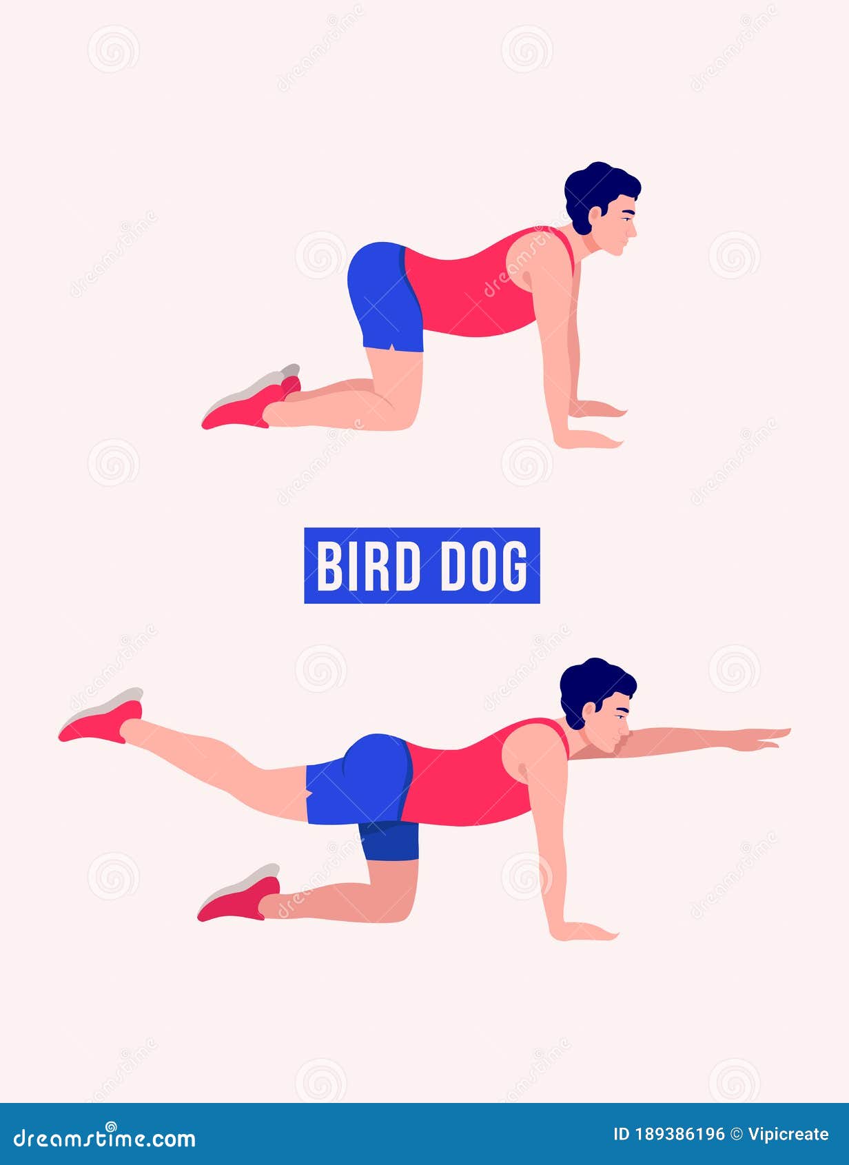 Bird Dog Exercise, Men Workout Fitness. Stock Illustration ...