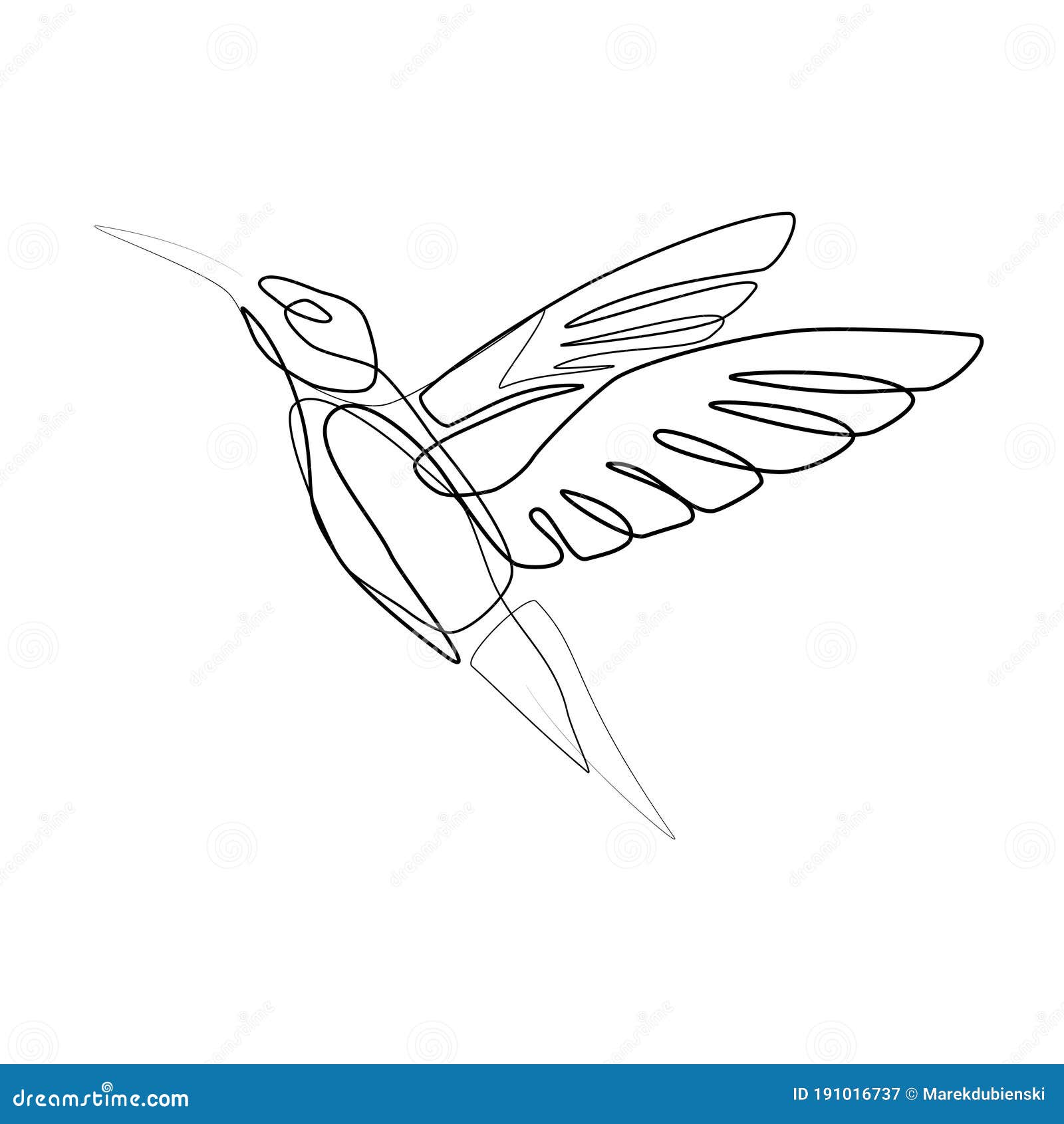 Hummingbird One Line Vector Shape Stock Illustration - Illustration of ...