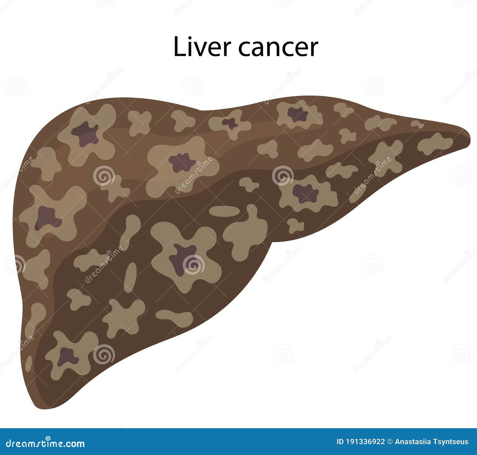 Illustration Of Liver Cell Cartoon Vector | CartoonDealer.com #245464901