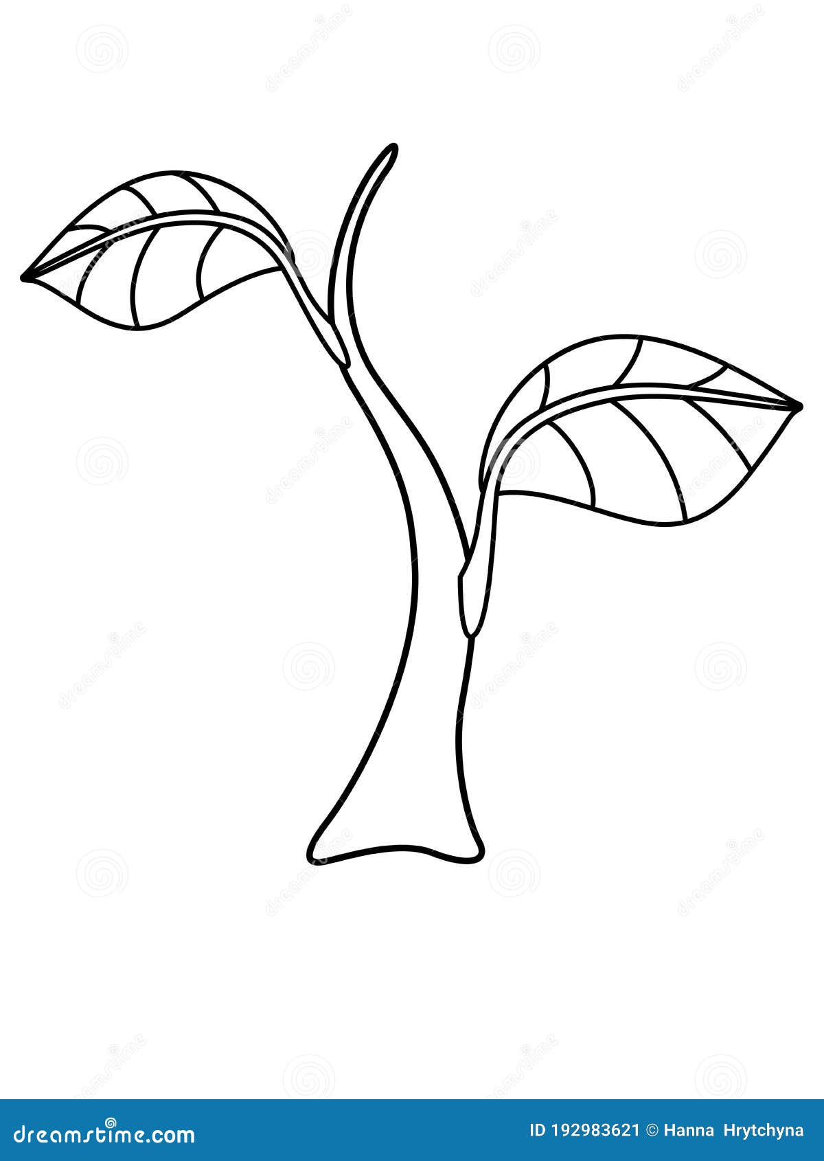 Sprout - Small Plant - Vector Linear Illustration for Coloring. Sapling ...