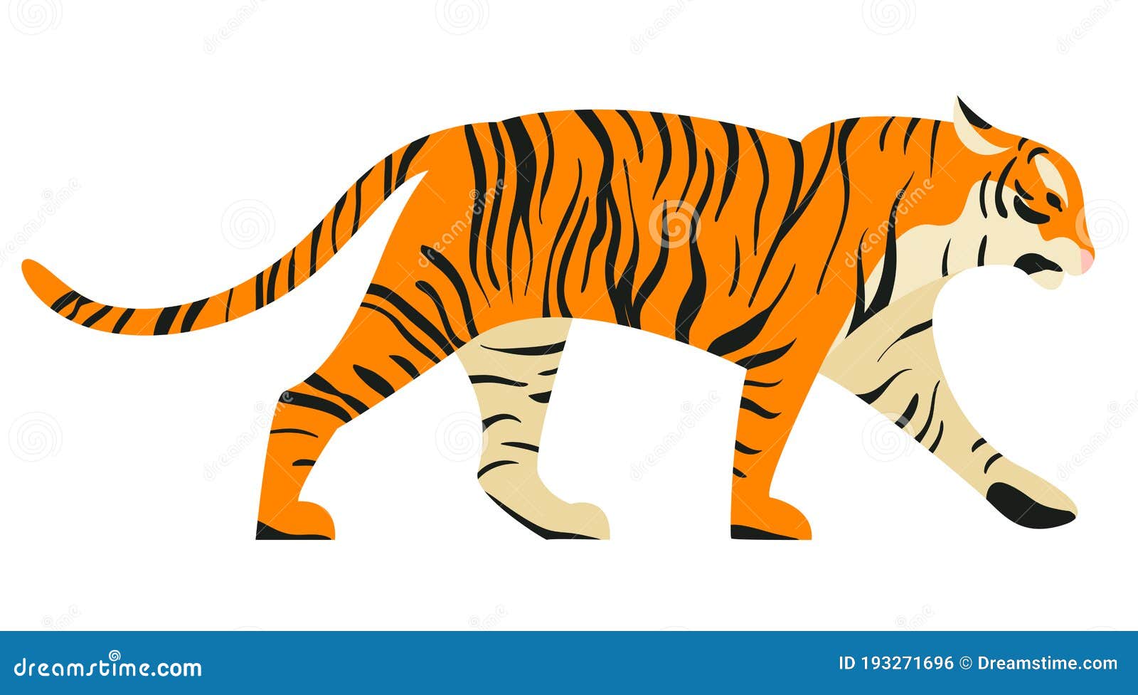 Tiger Walking Side View Drawing