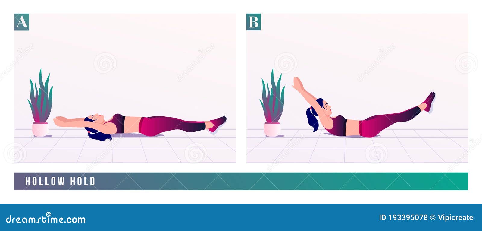 Hollow Hold Exercise, Woman Workout Fitness, Aerobic and Exercises ...