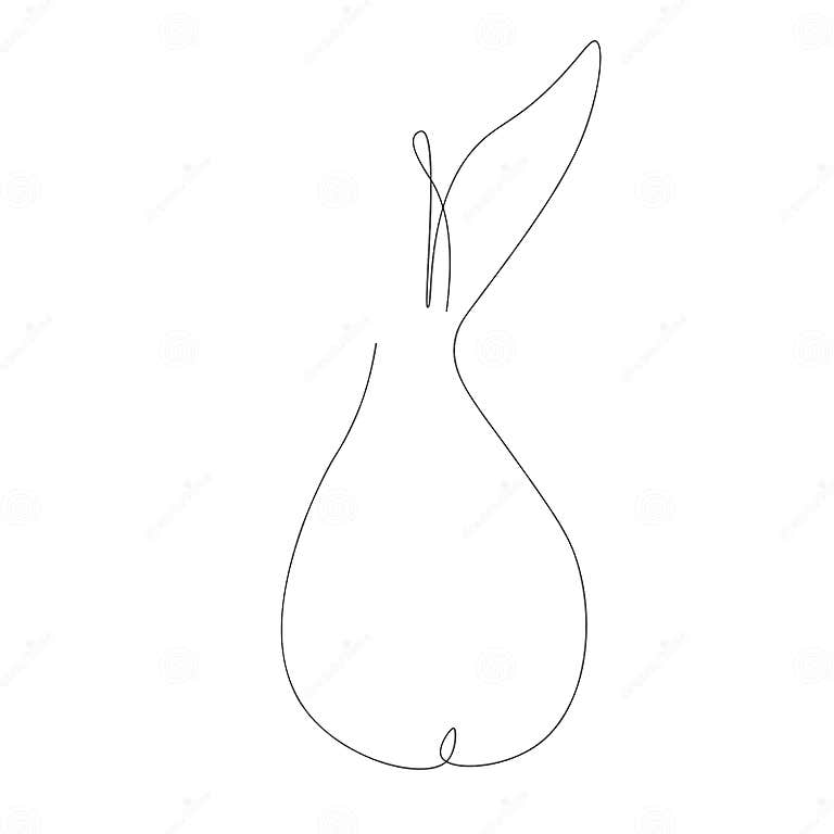 Pear One Line Drawing on White Stock Illustration - Illustration of ...